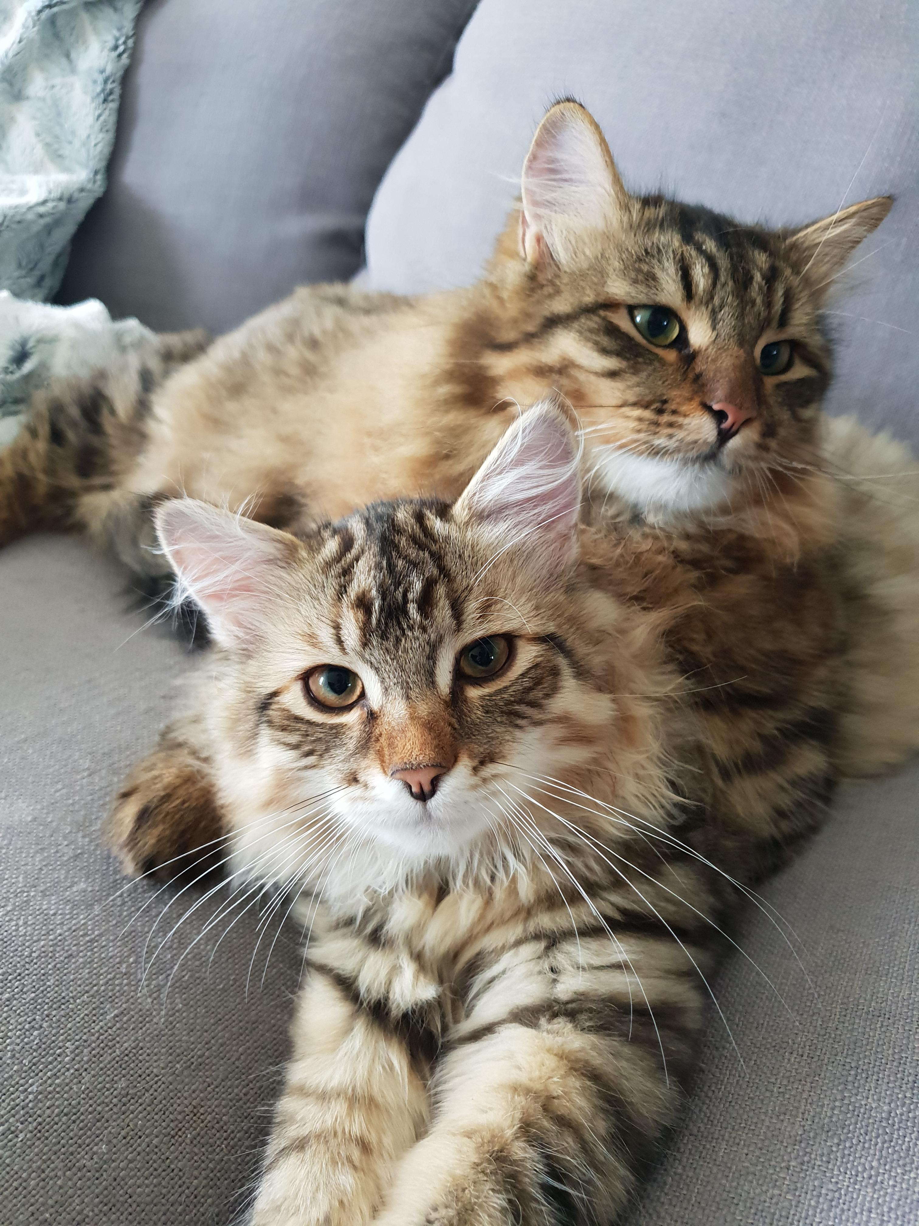 Our 2 baby boys | Scrolller