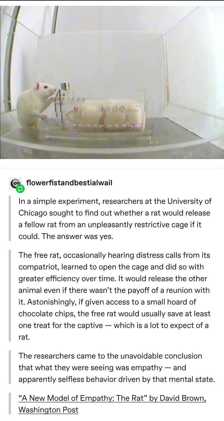 Our babies can feel!!! | Scrolller