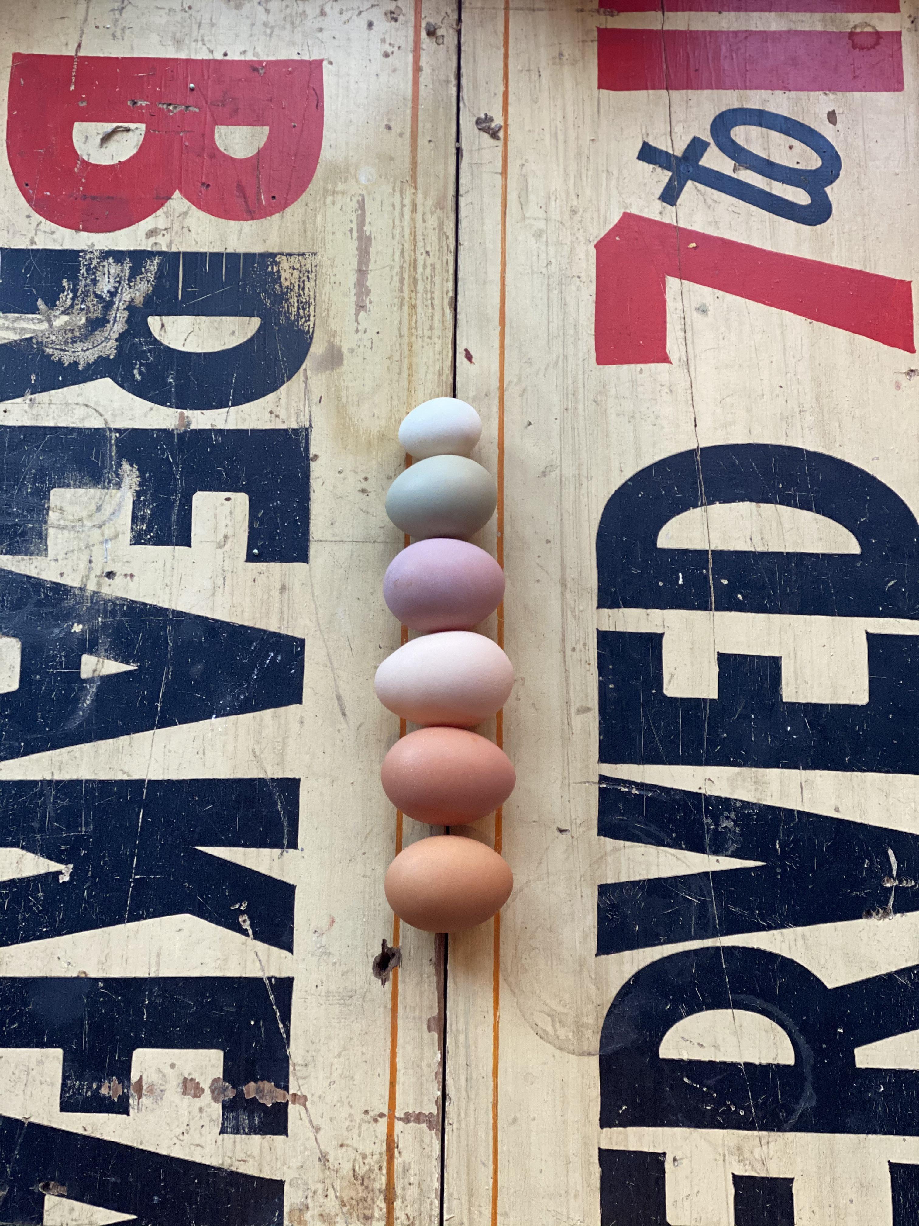 Our chickens lay eggs that are aesthetically pleasing | Scrolller