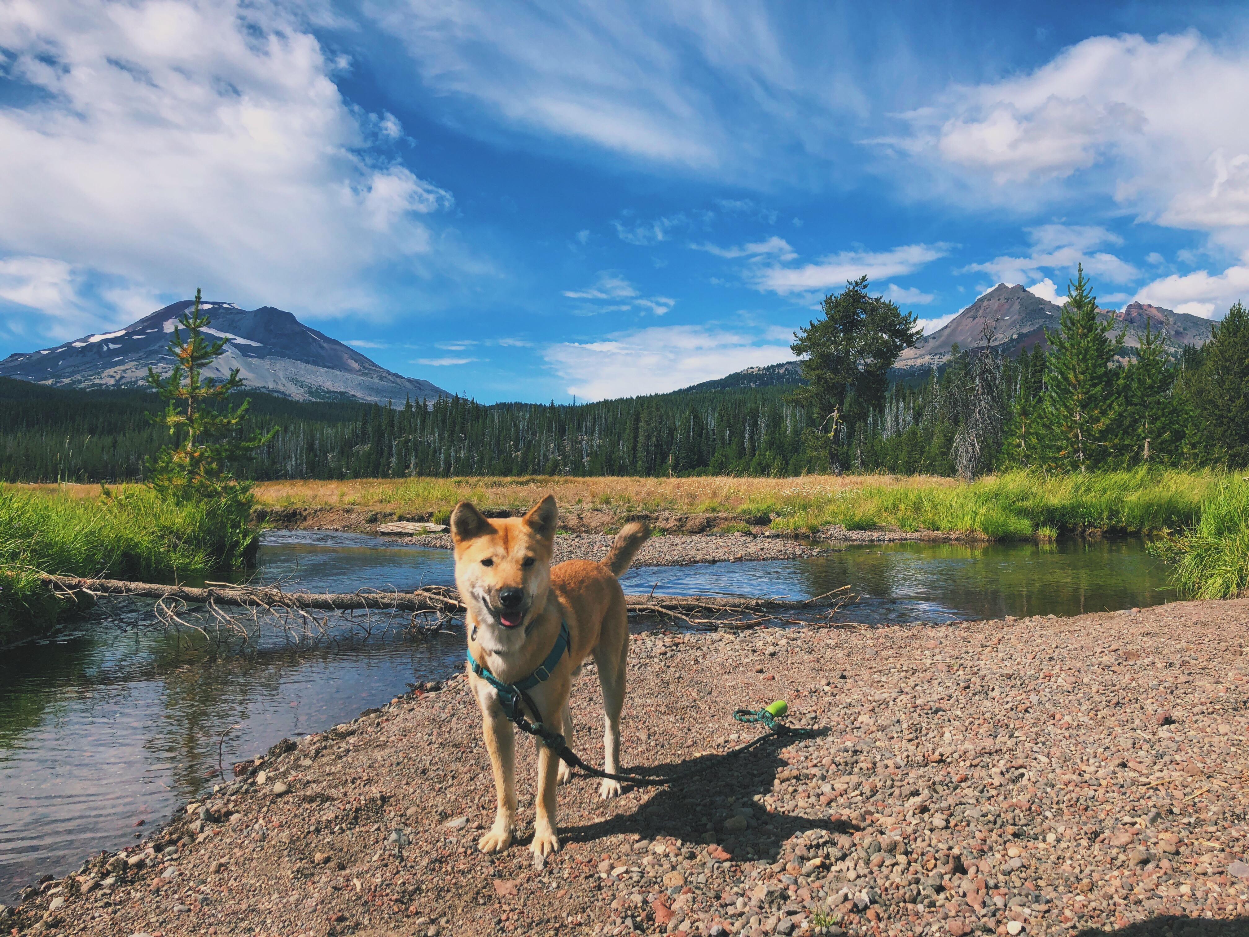 Our cutie pie Q | Scrolller