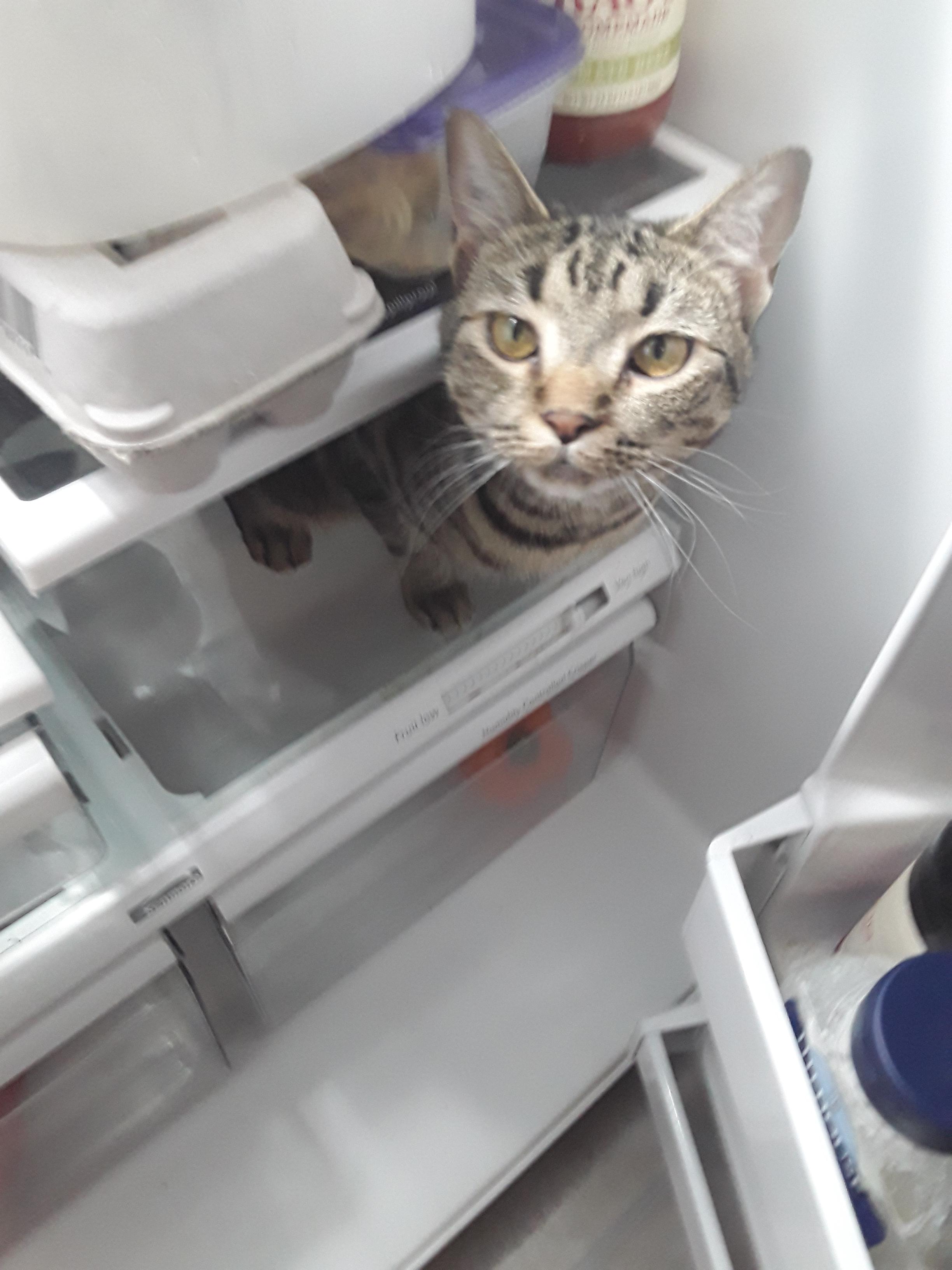 Our favorite spot in the house. | Scrolller