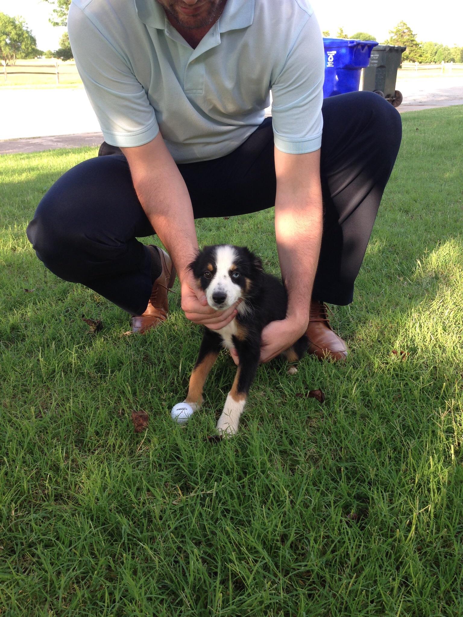 Our first play date! | Scrolller