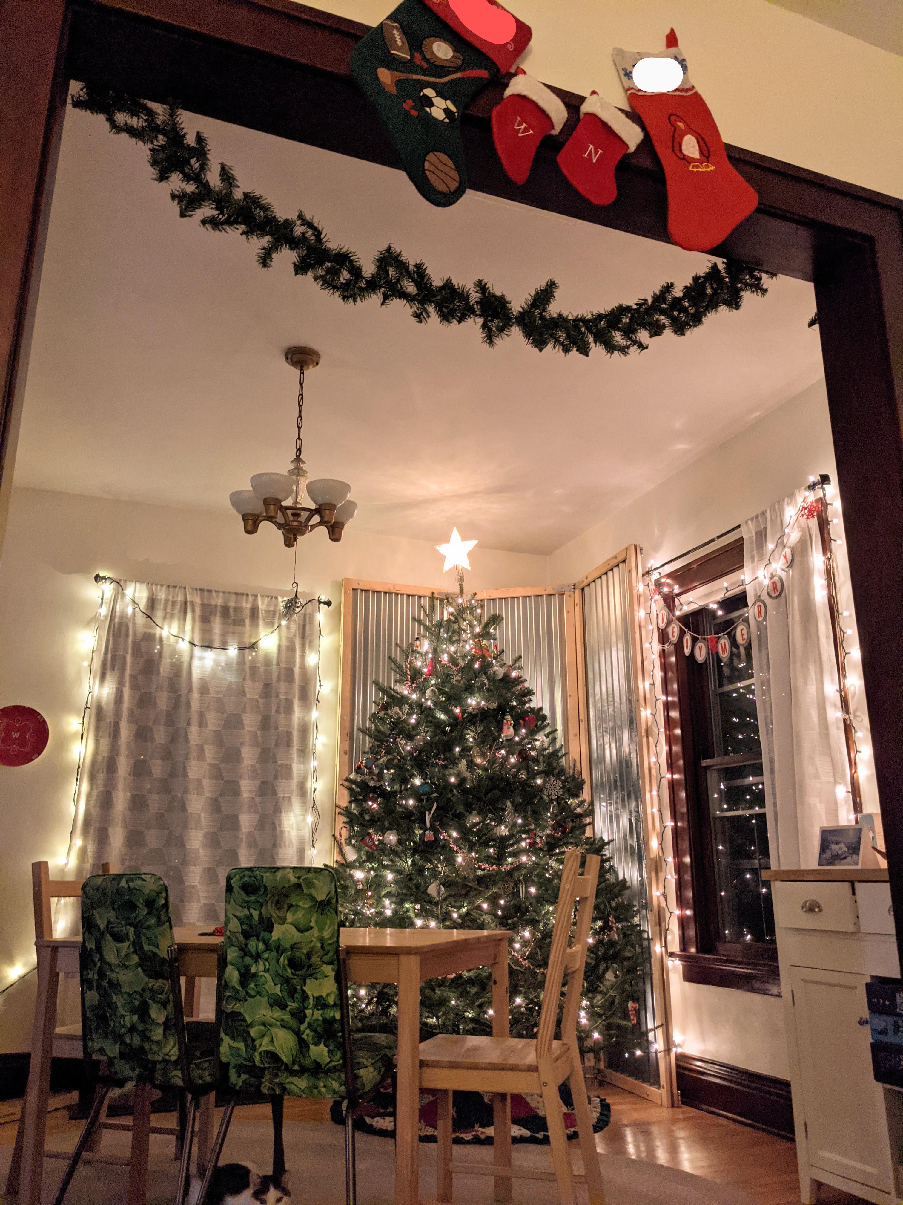 Our holiday oasis | Scrolller