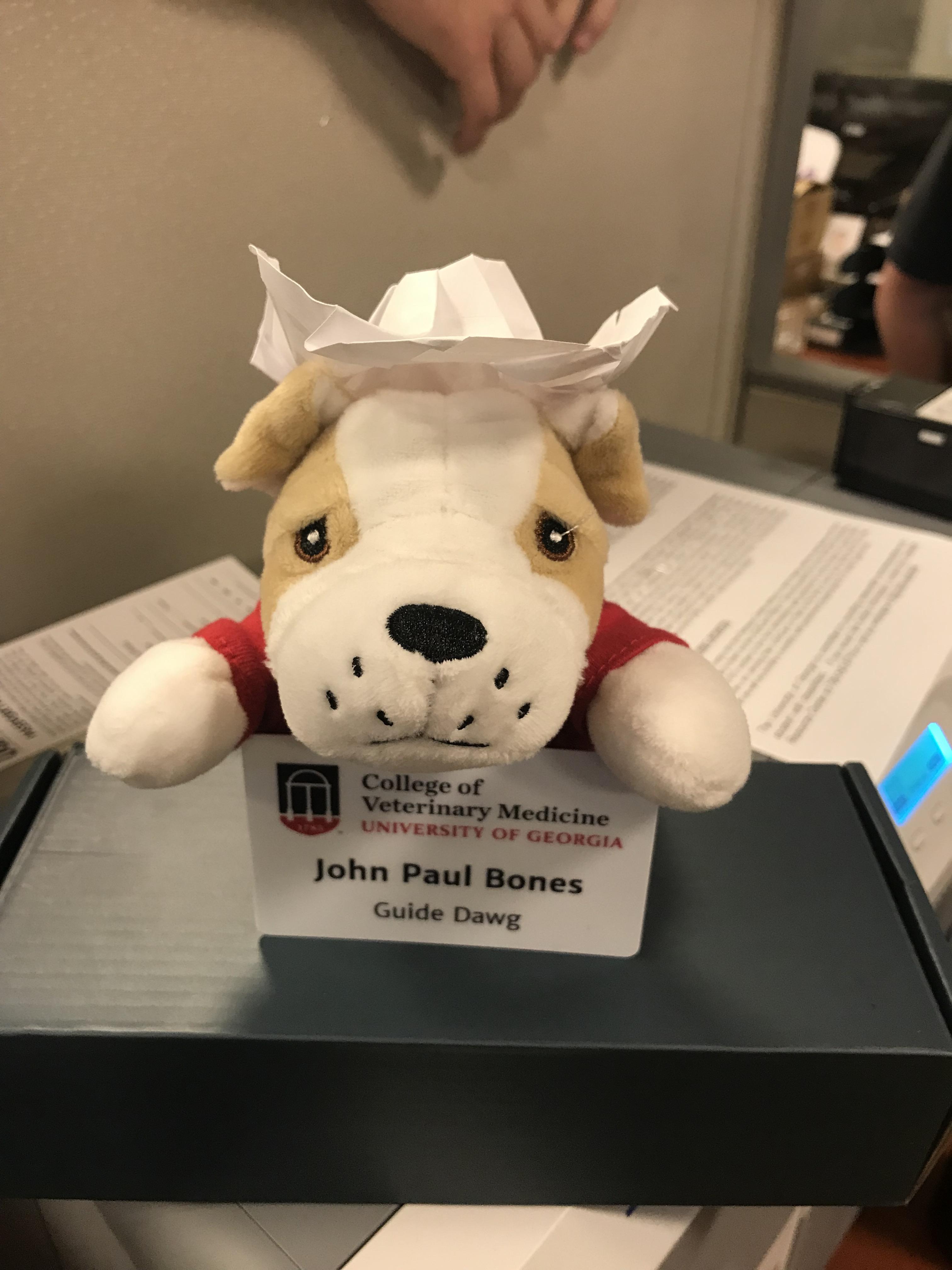 Our new work mascot! | Scrolller