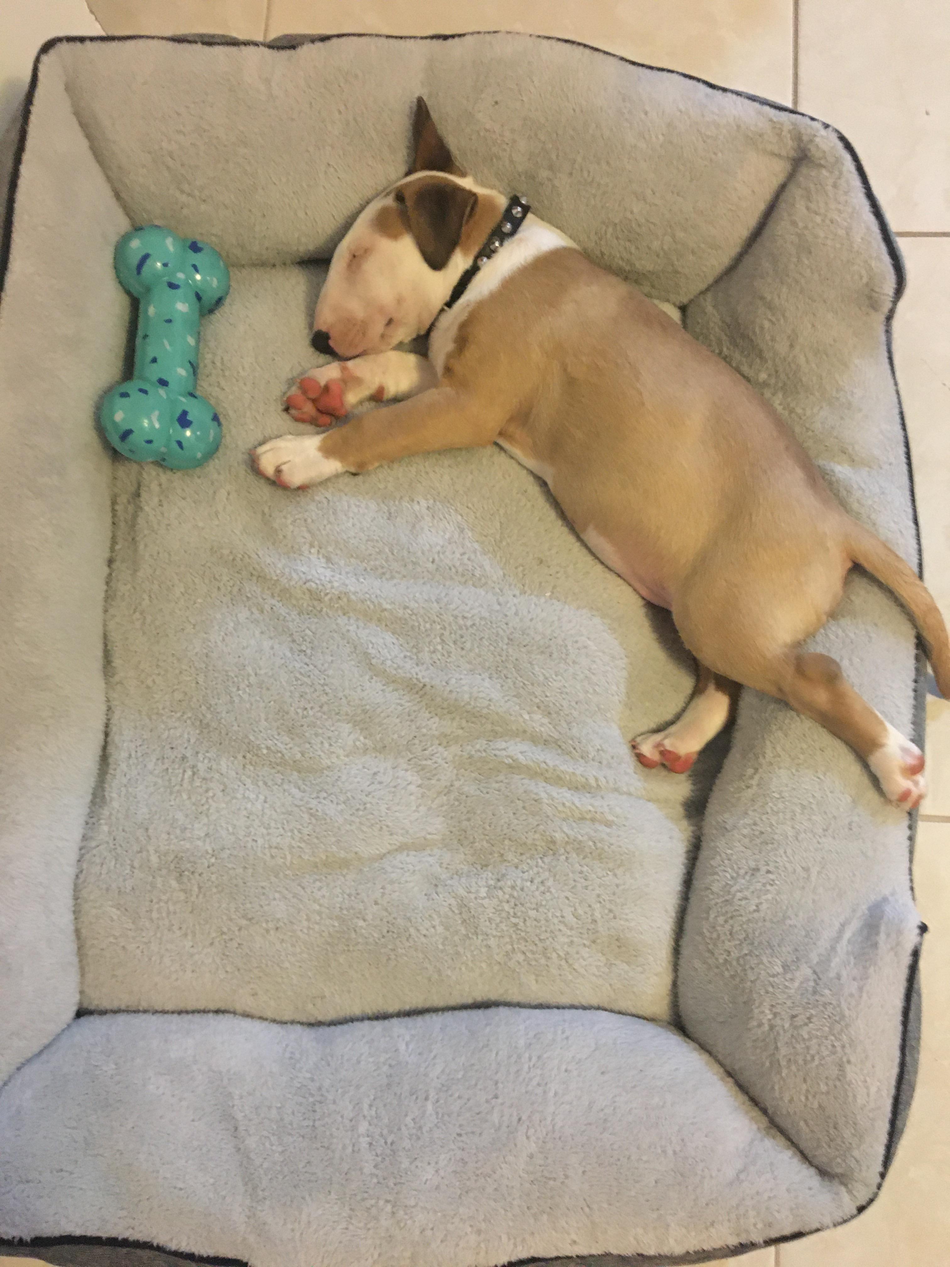 Our newest family member | Scrolller