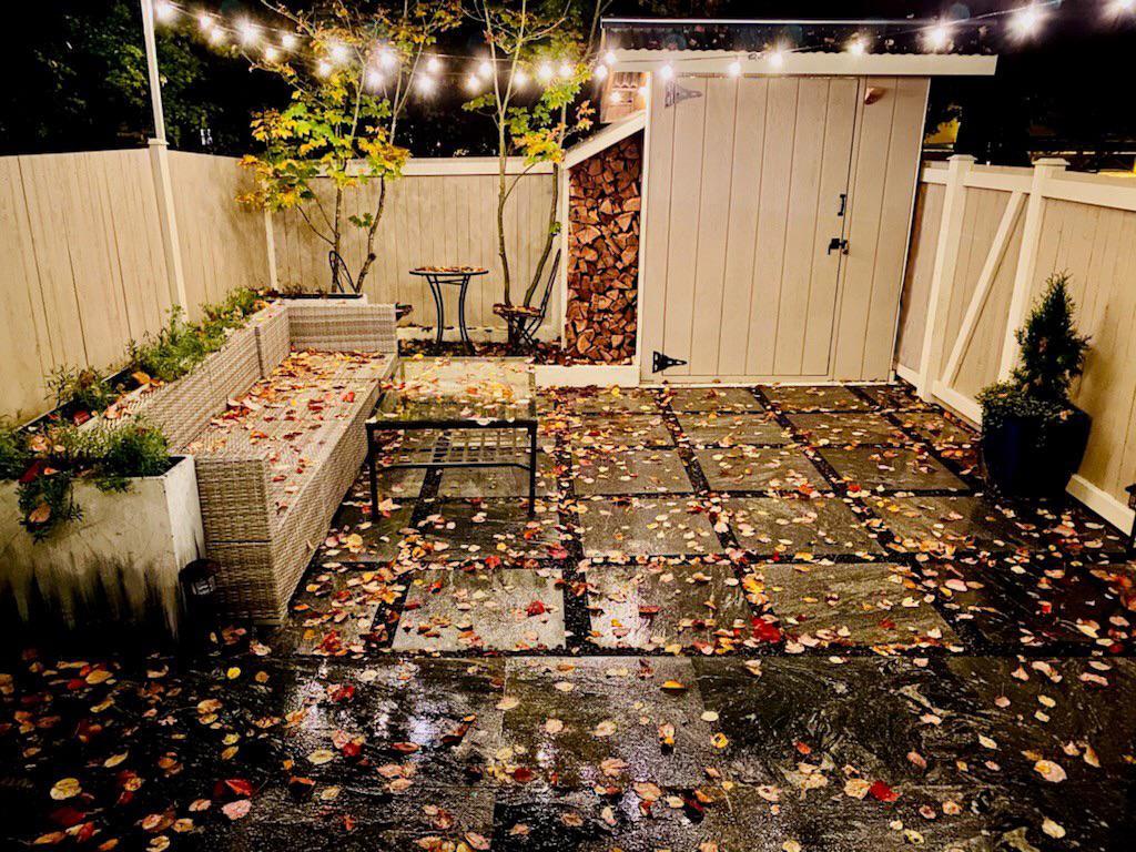 Our small backyard | Scrolller