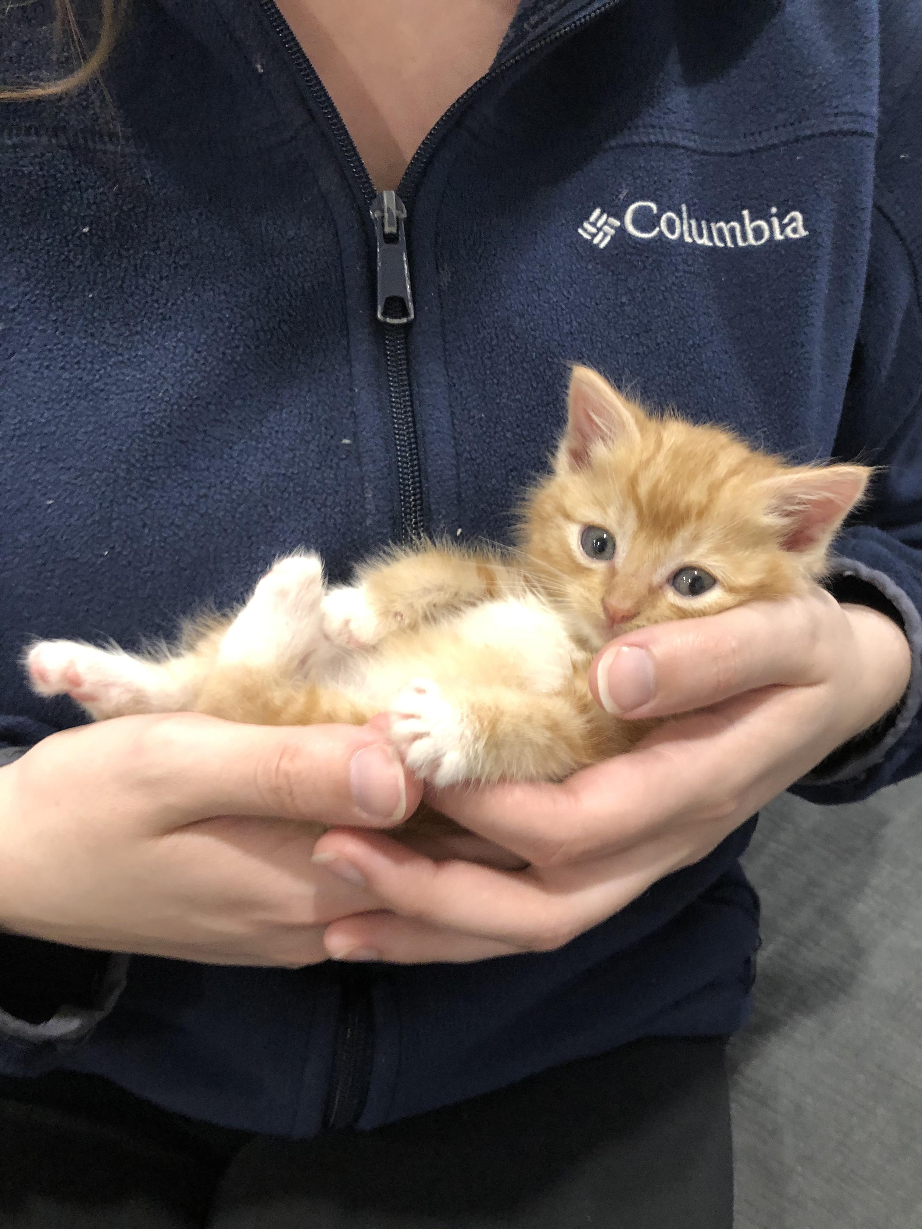 Our tiny little Beans | Scrolller