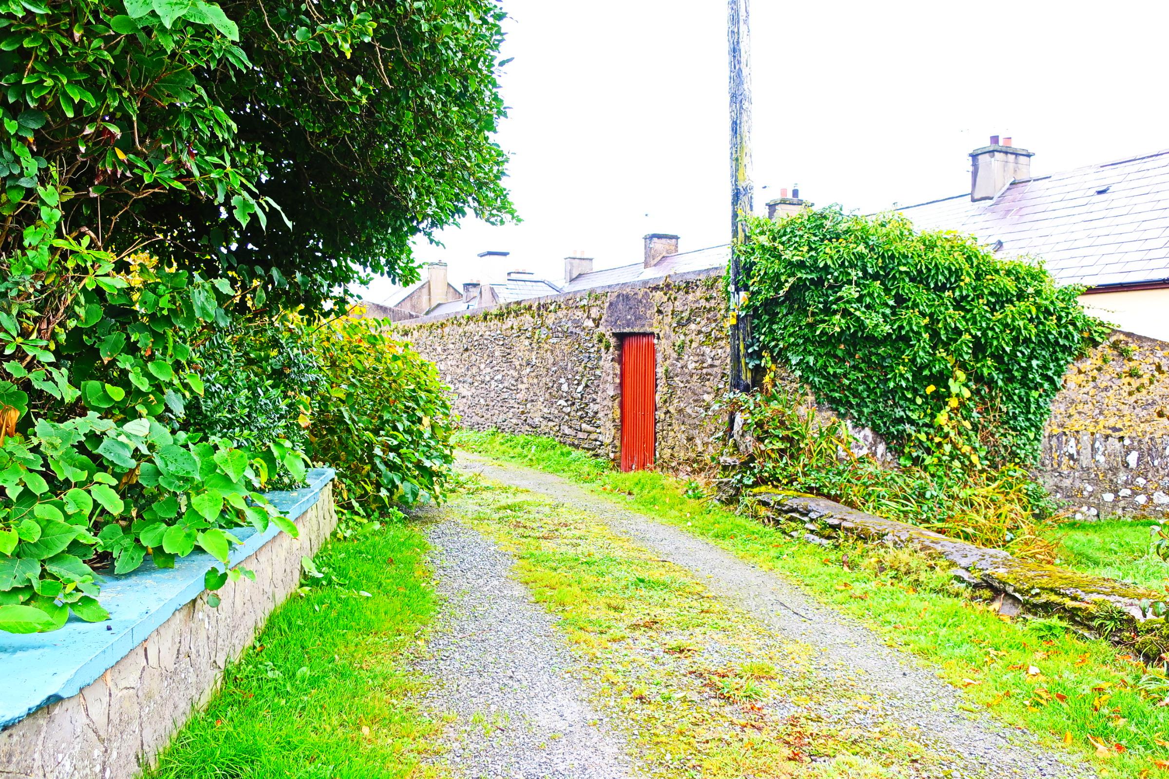 Out for a stroll in Dingle | Scrolller
