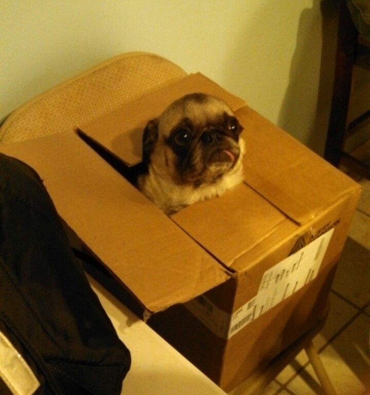 Package finally got here. | Scrolller