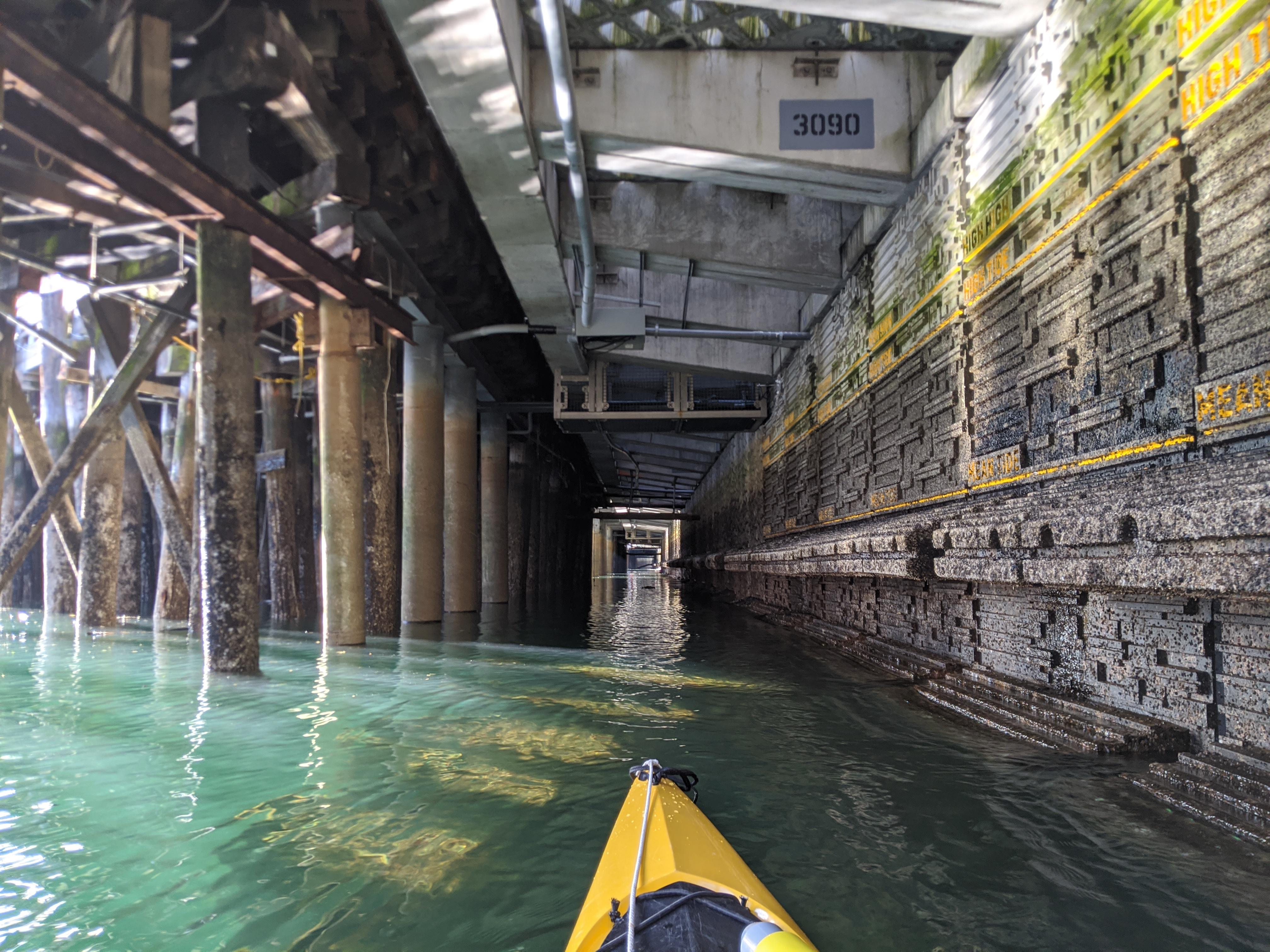 Paddling under the sidewalk at the Seattle waterfront | Scrolller