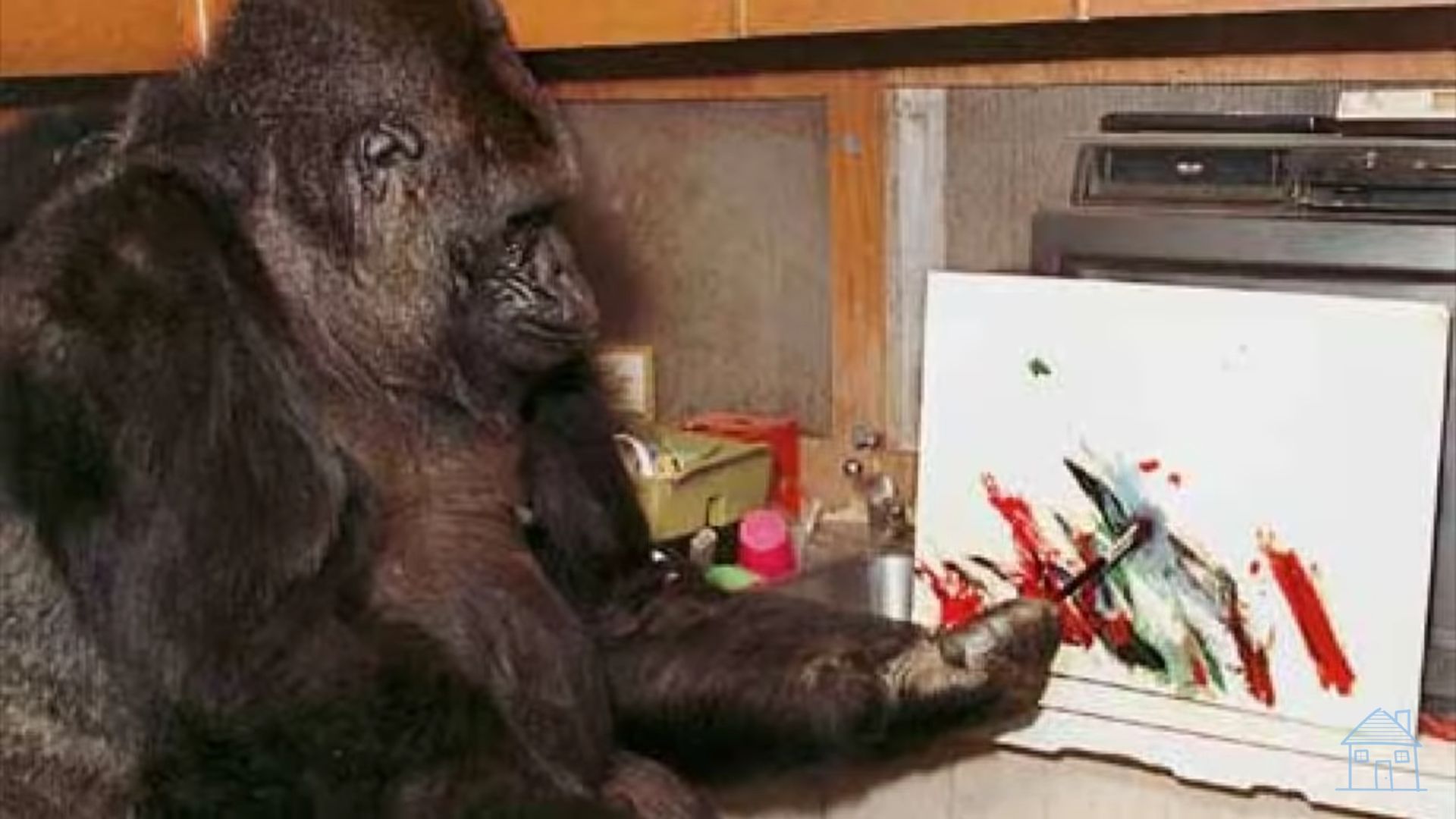 Paint gorilla | Scrolller