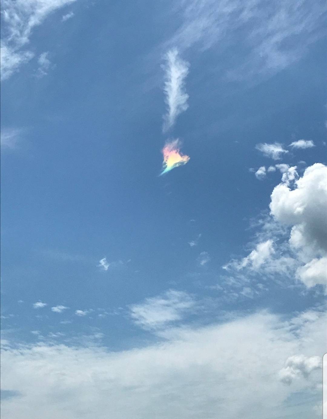 Pansexual Cloud | Scrolller