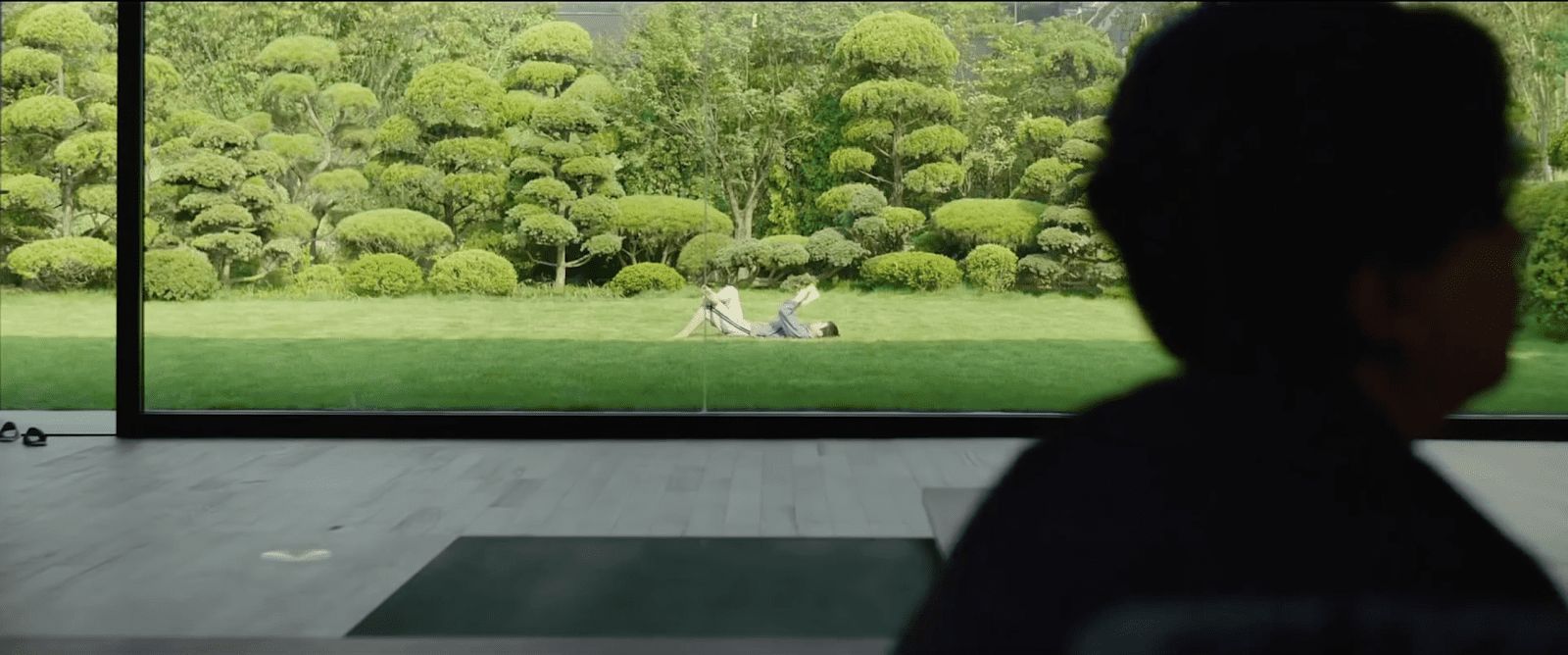 Parasite movie - backyard | Scrolller