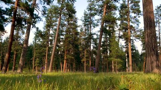 Partly cloudy [OC] | Scrolller