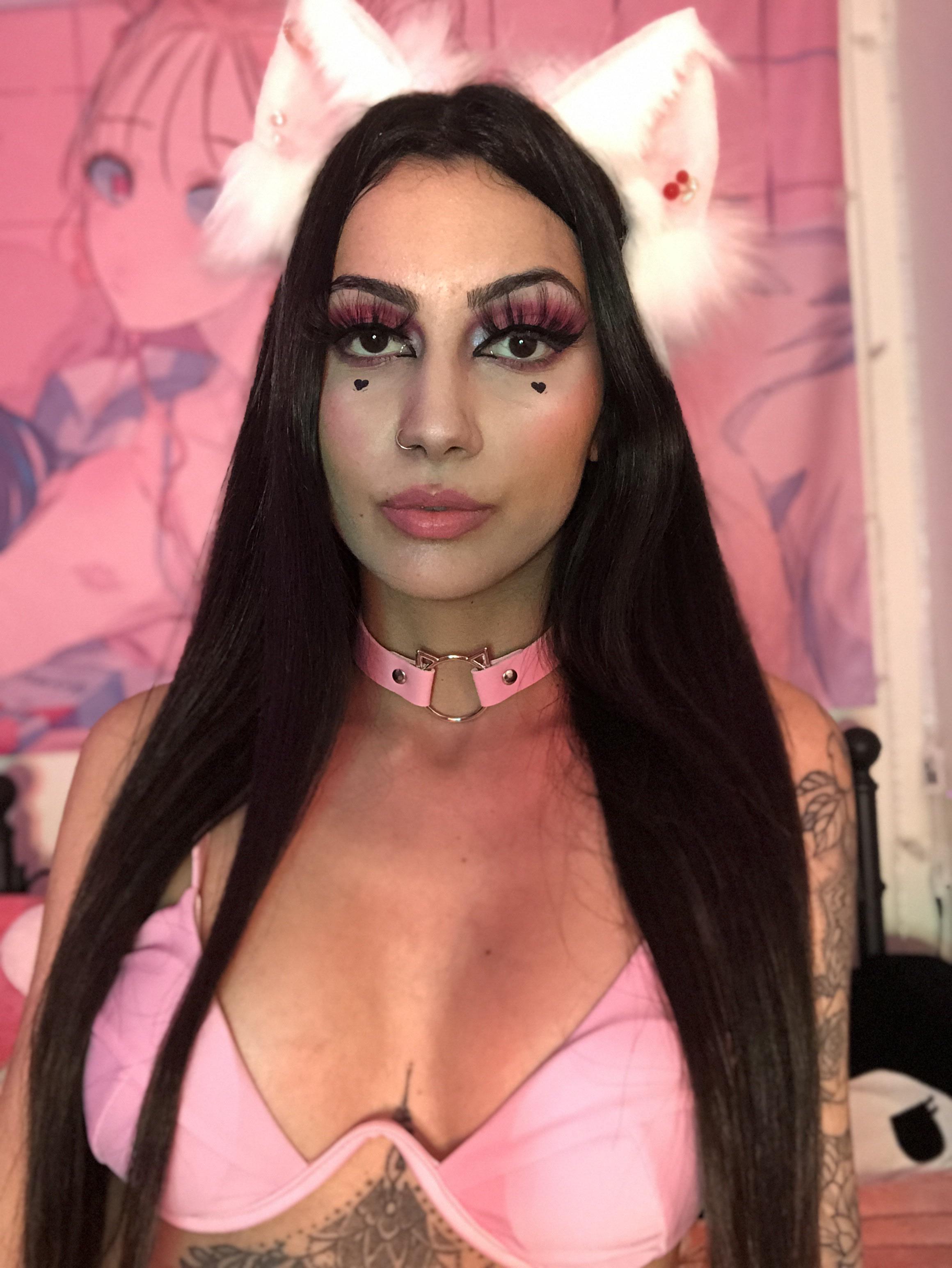 pastel kitty💖 | Scrolller