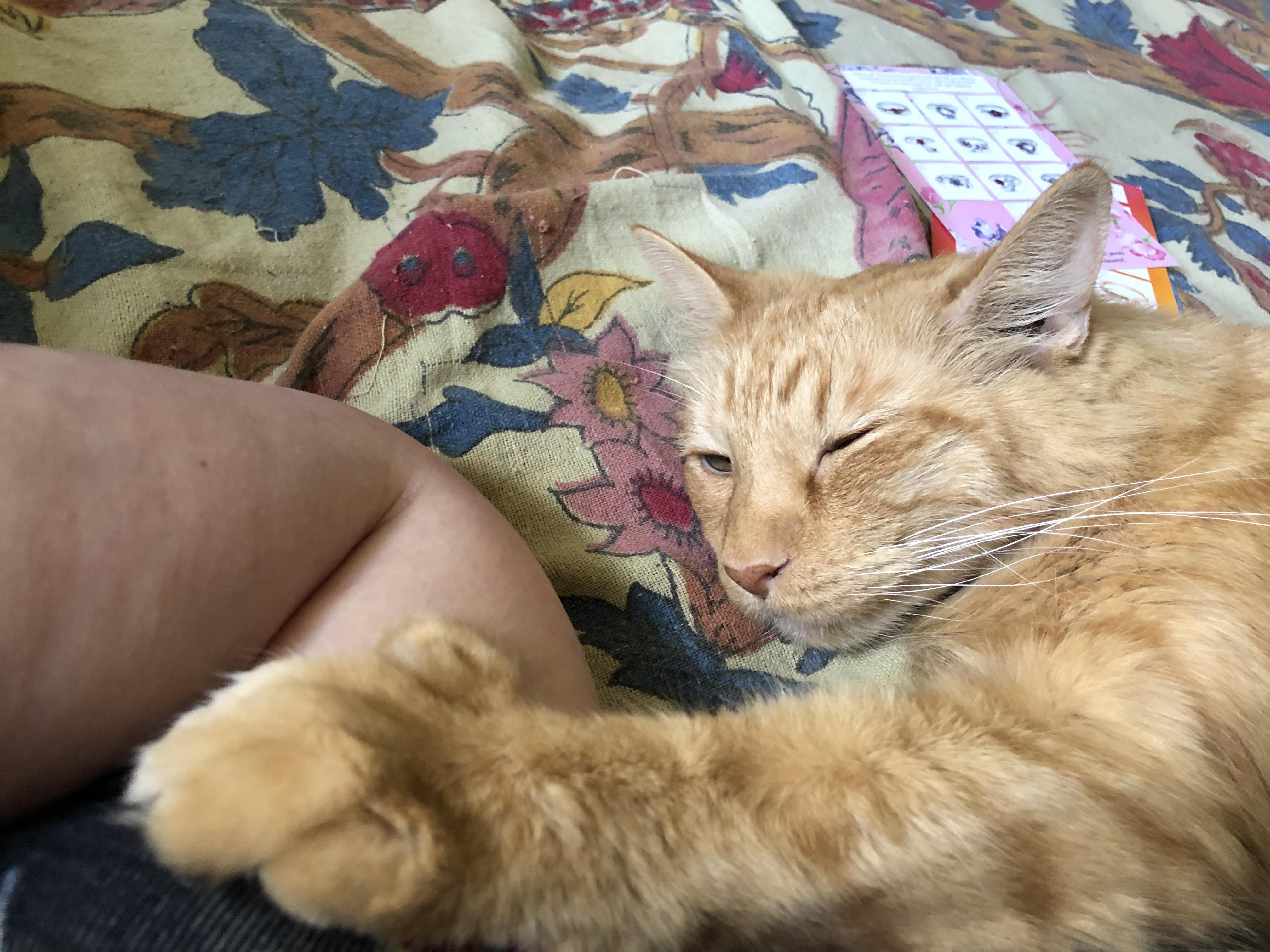 Pat pat pat | Scrolller