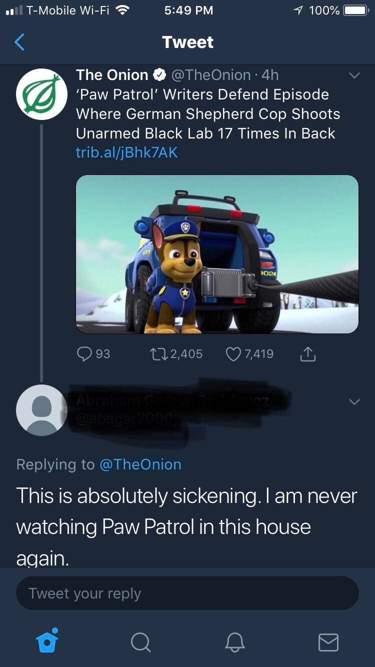 Paw-lice brutality is no joke | Scrolller