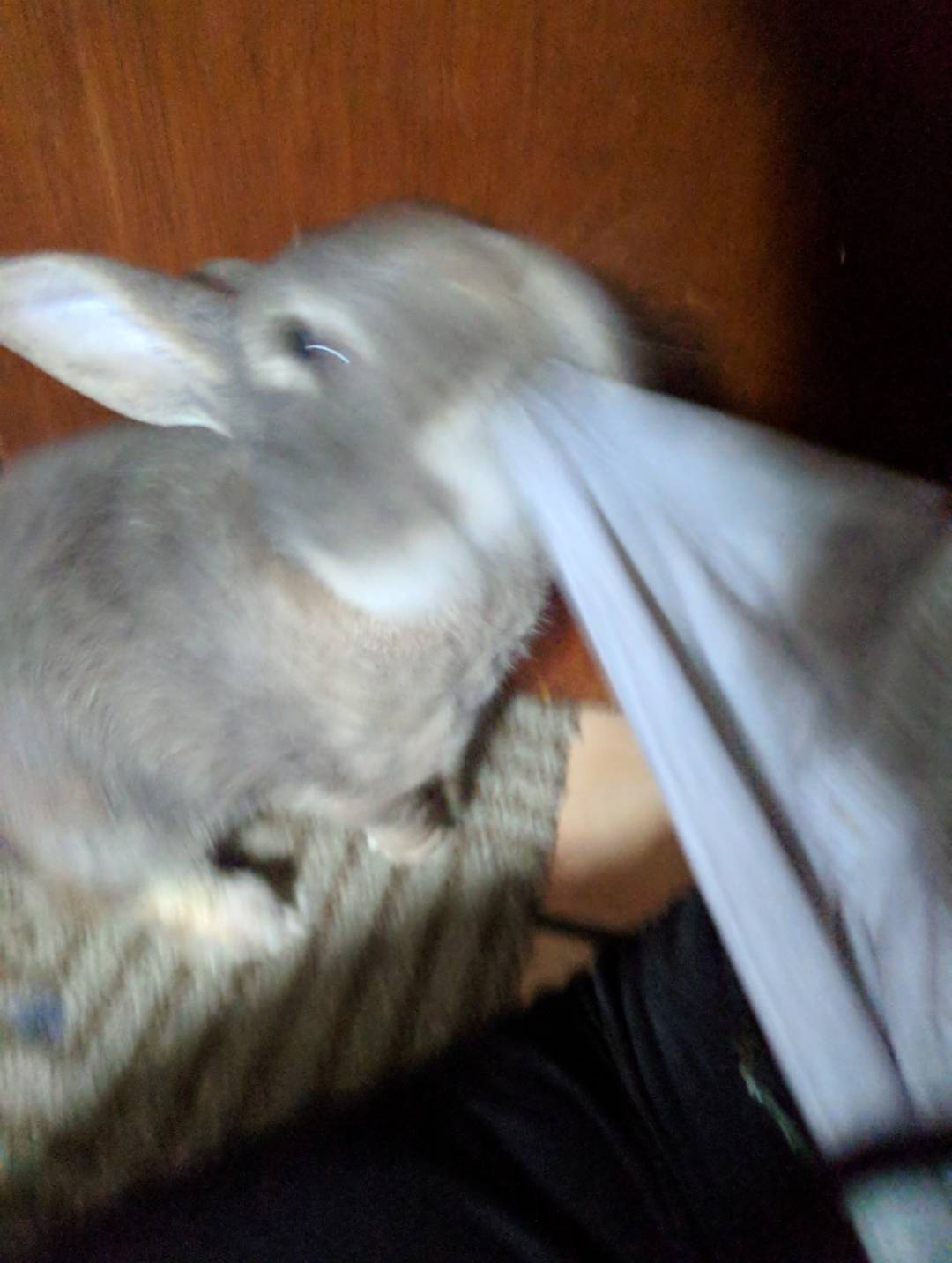 PAY ATTENTION TO MMEEE | Scrolller