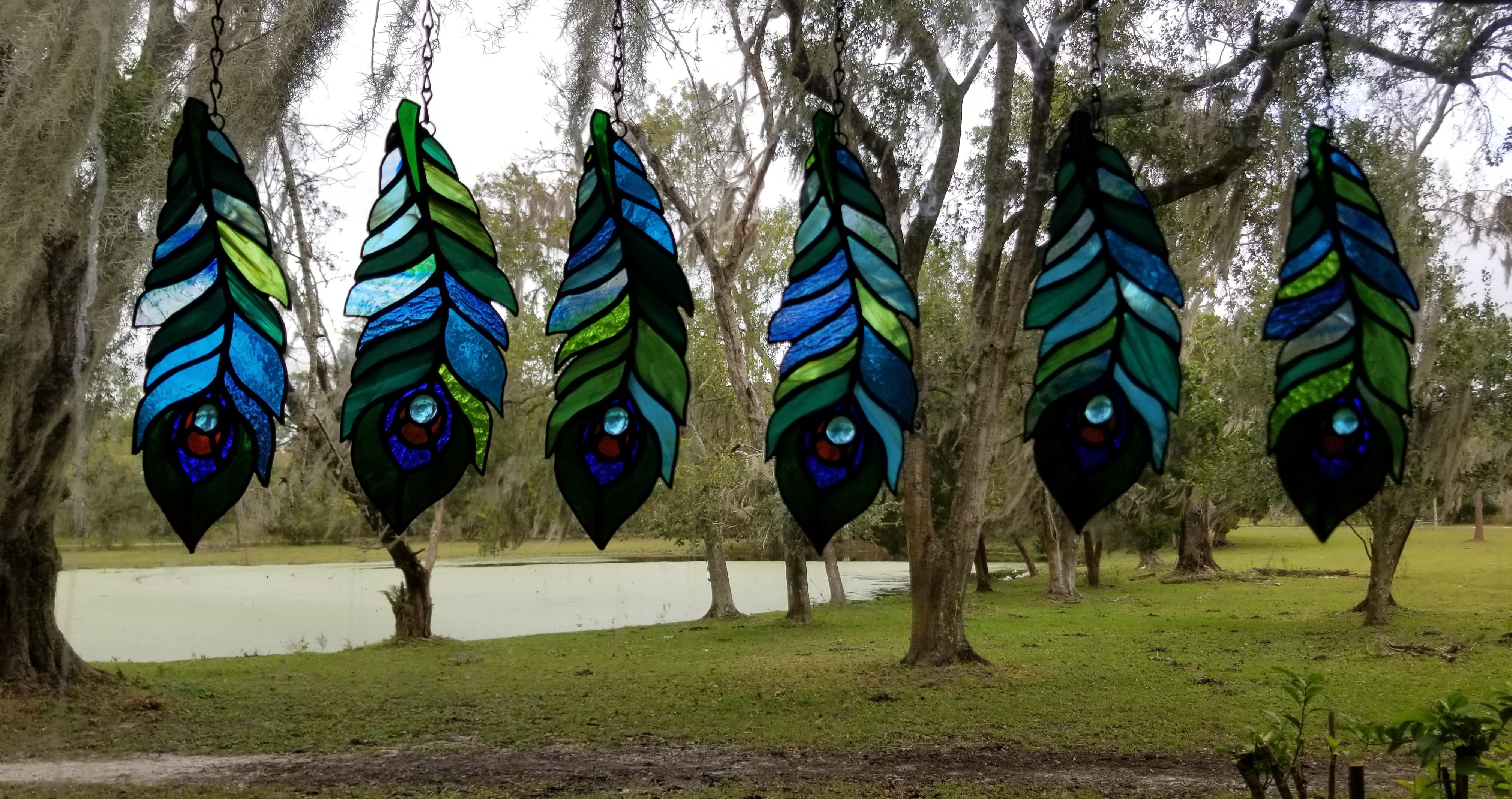 Peacock feathers! | Scrolller