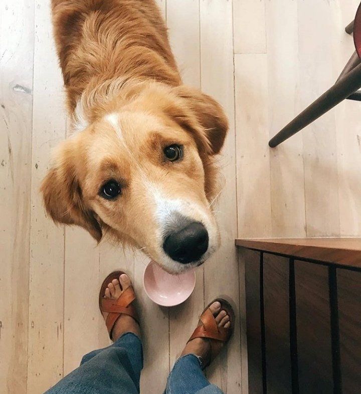 Pearl ️ | Scrolller