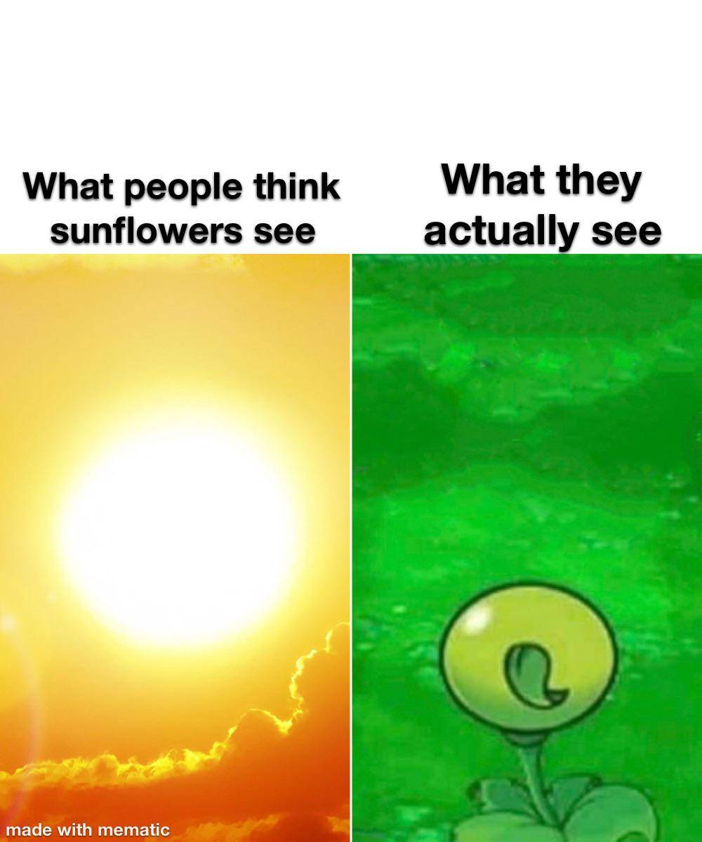 Peashooter protecc | Scrolller