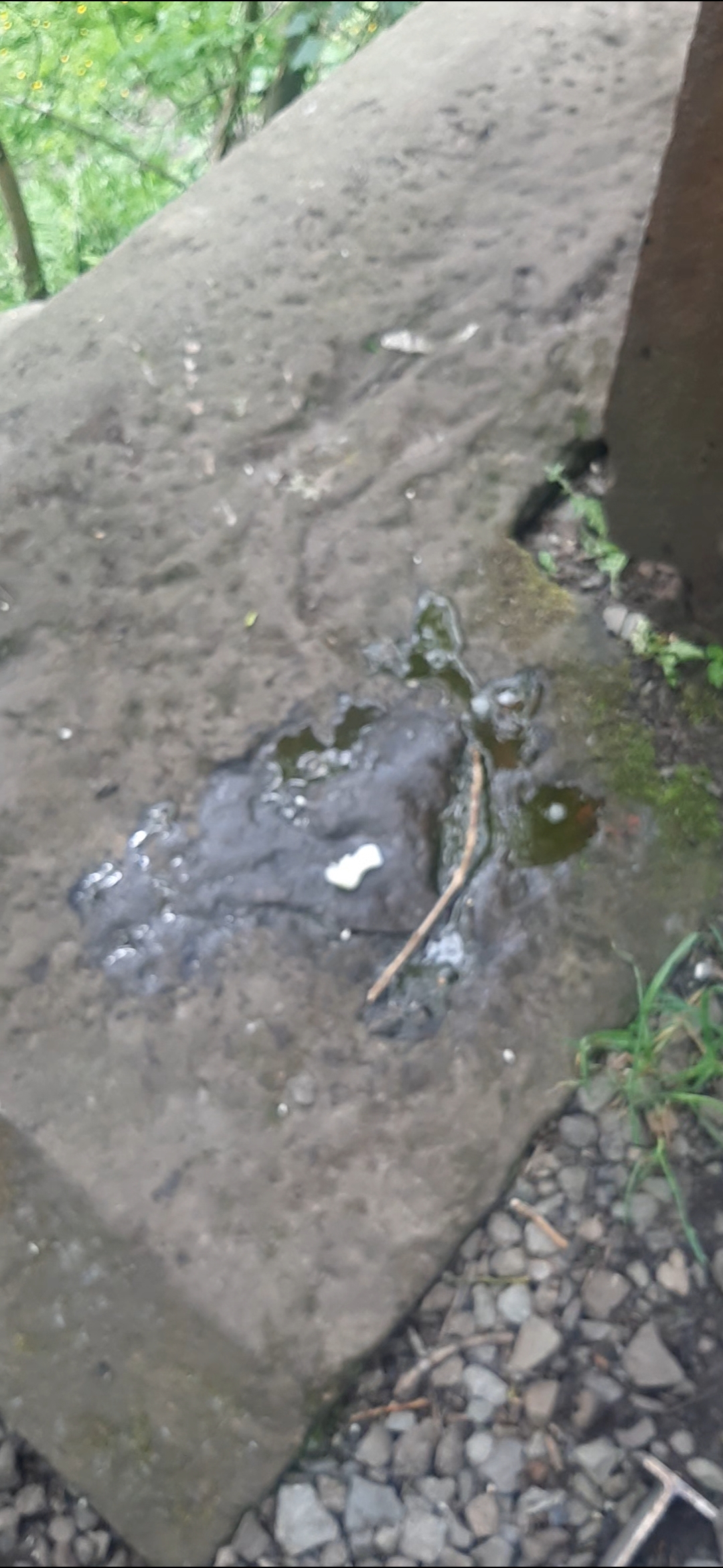 Peeing outside... | Scrolller