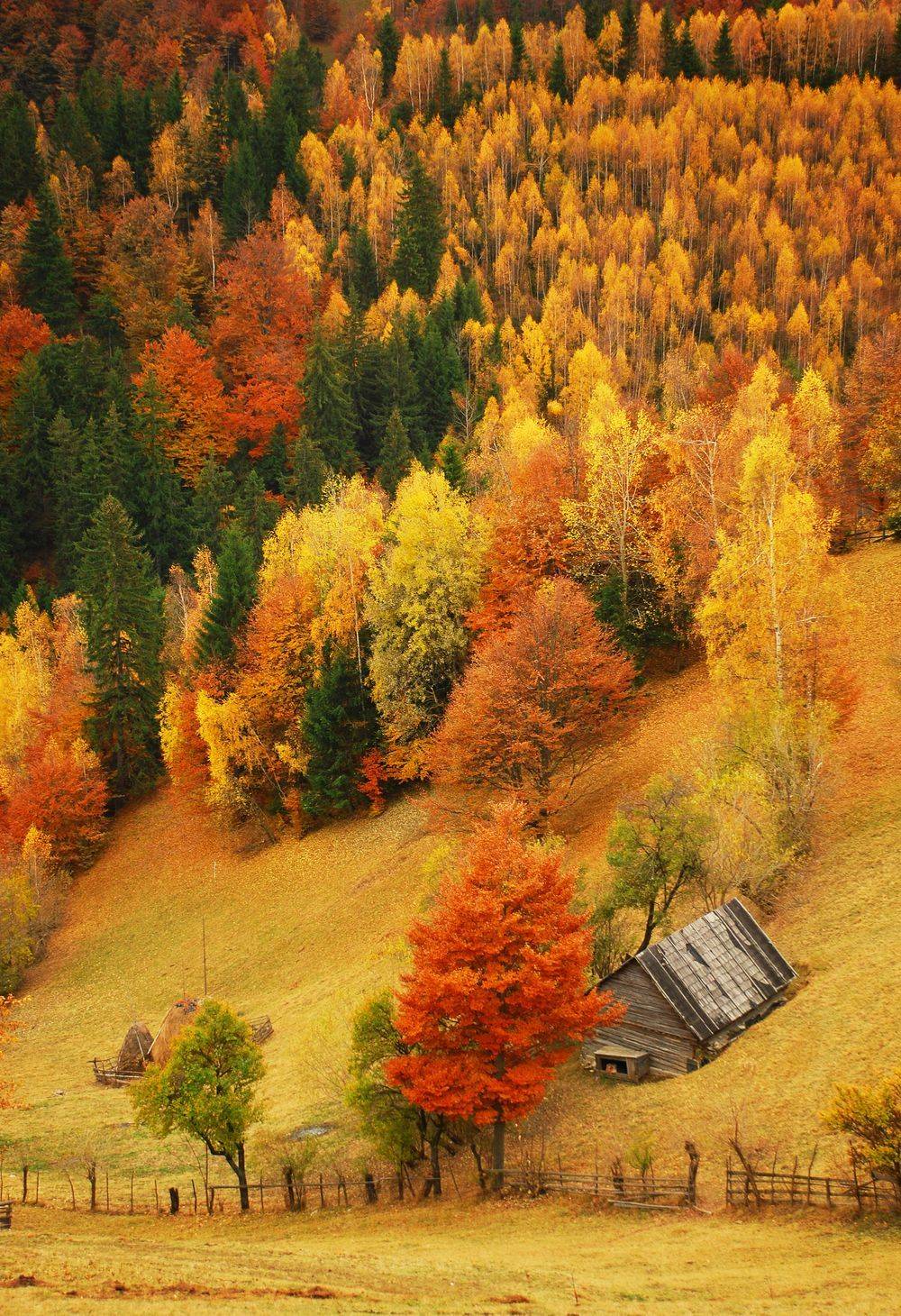 Peisaj de toamna in Romania | Scrolller
