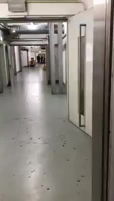 People are so immature | Scrolller