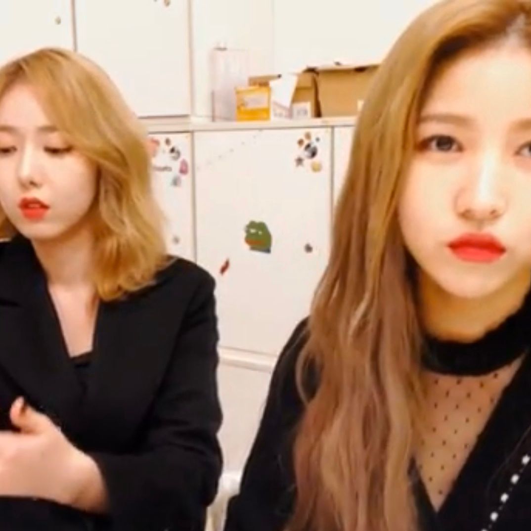 Pepe in Source Music | Scrolller