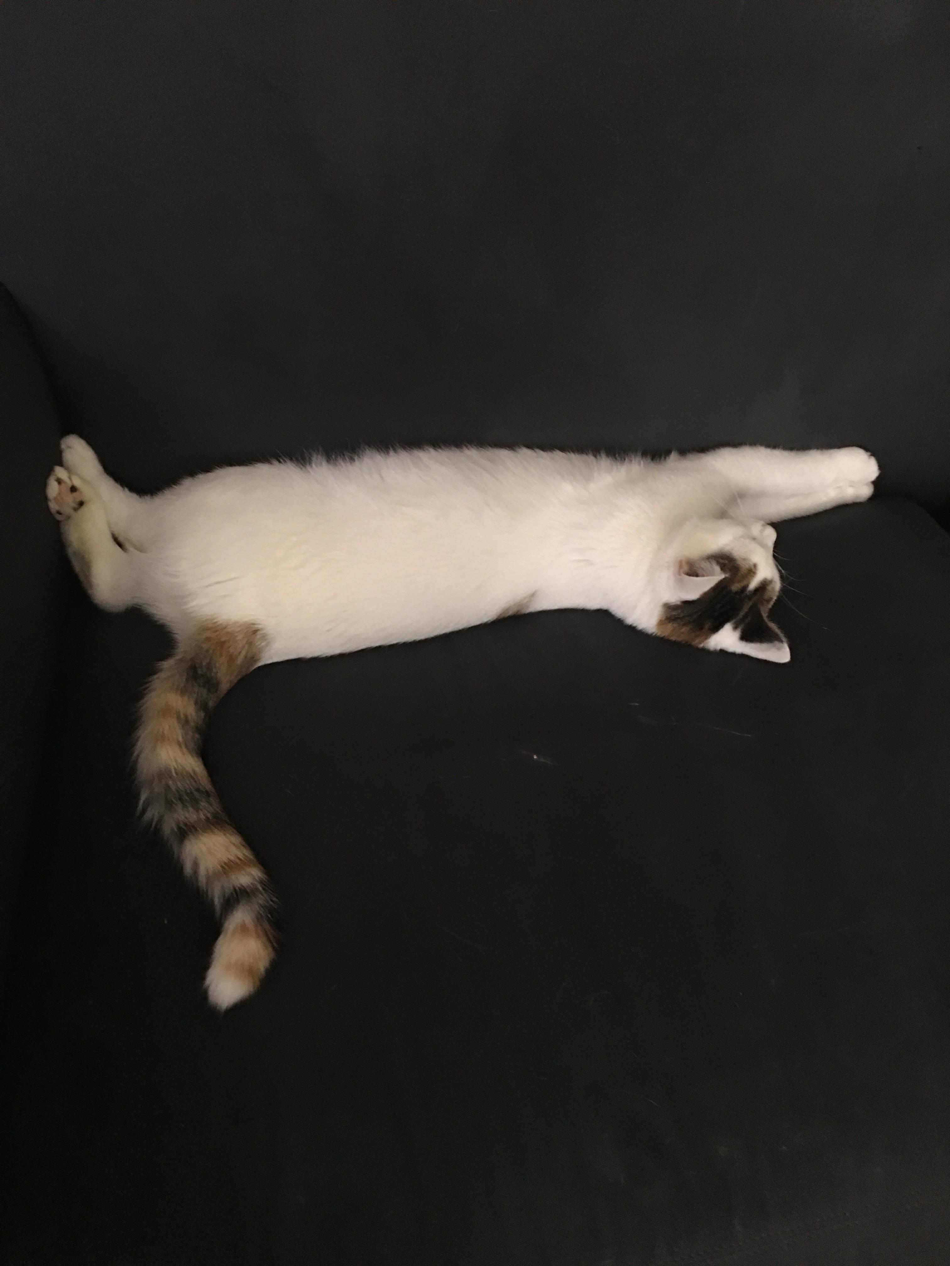 Perfect Alignment | Scrolller