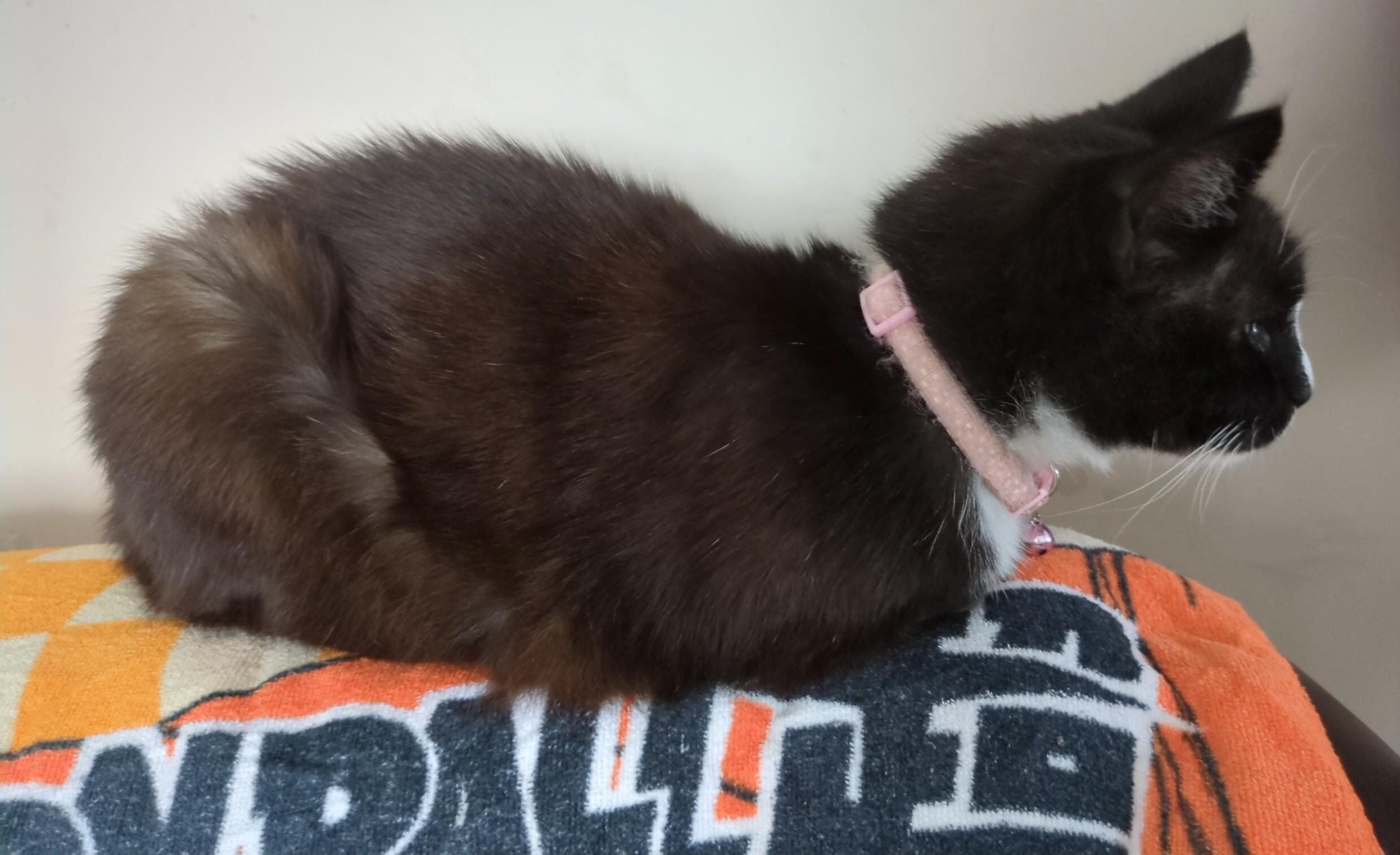 Perfect form? | Scrolller