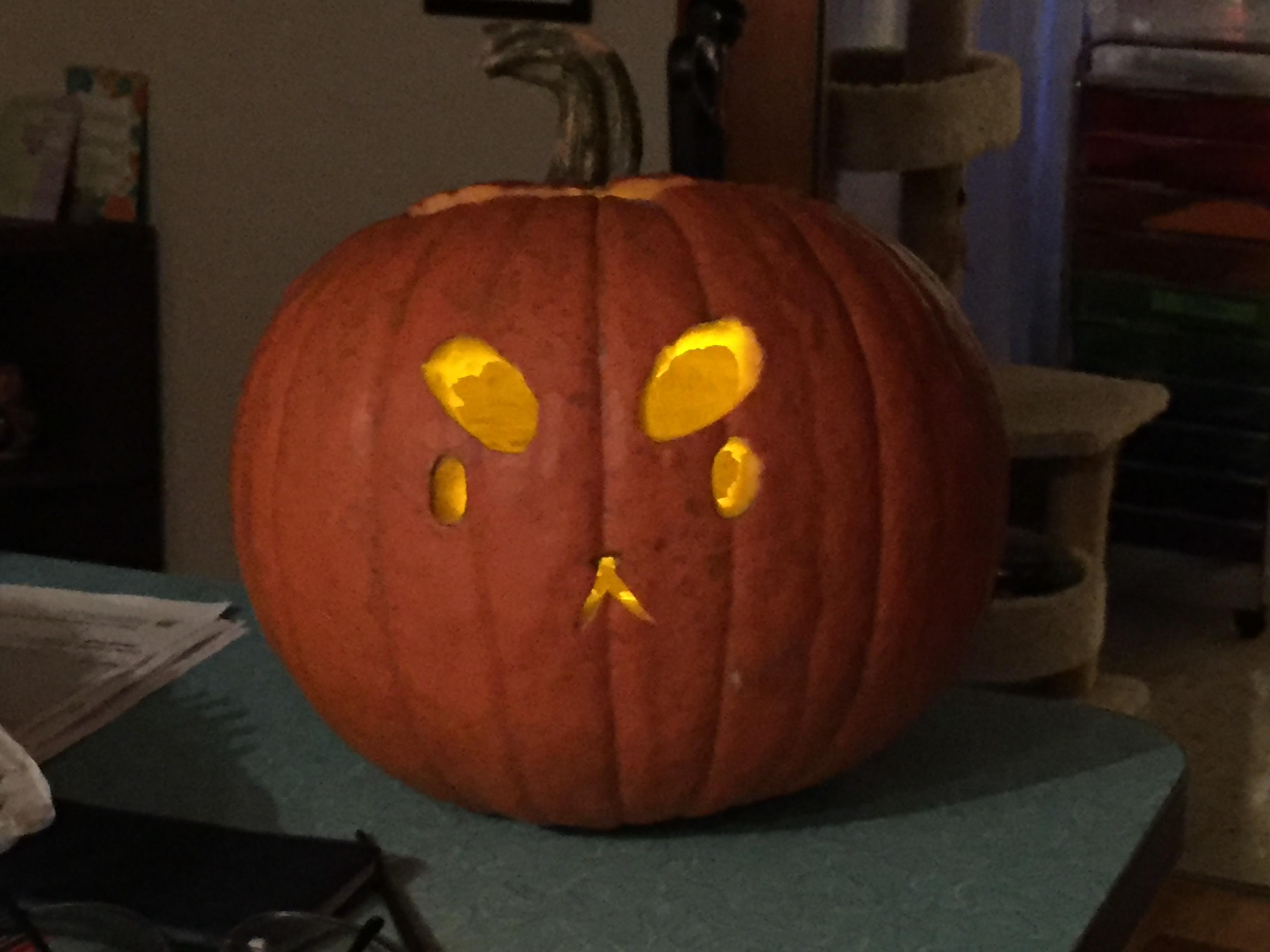 Perfect Puppycat Pumpkin | Scrolller