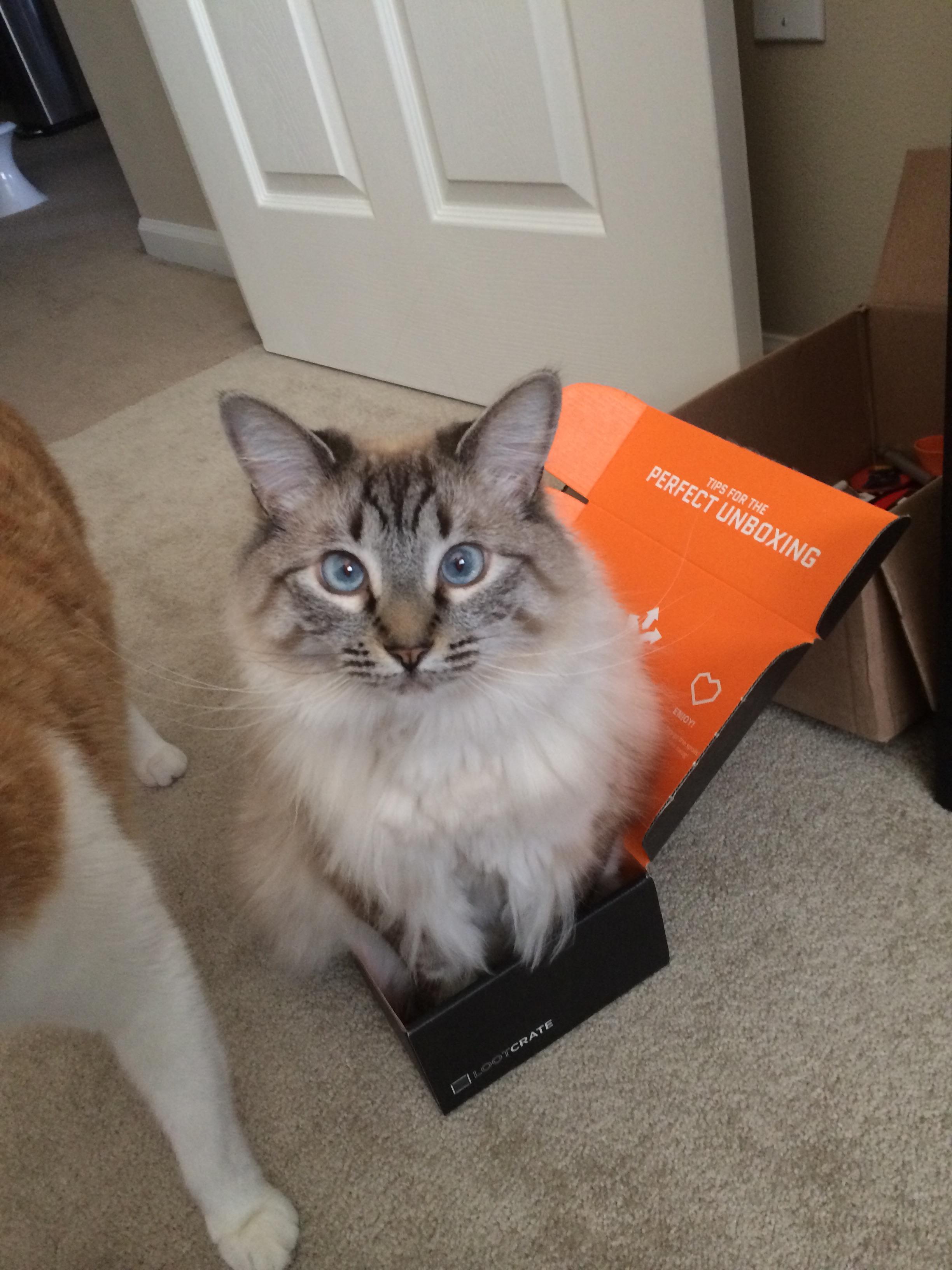 Perfect Unboxing | Scrolller