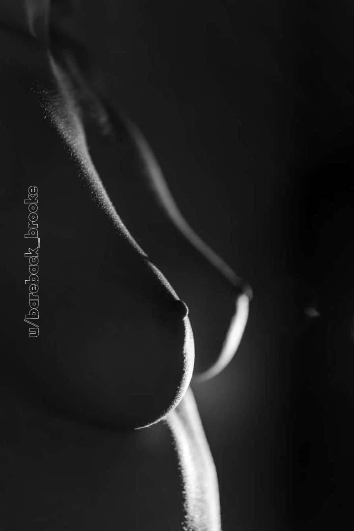 Perky Scrolller 6242