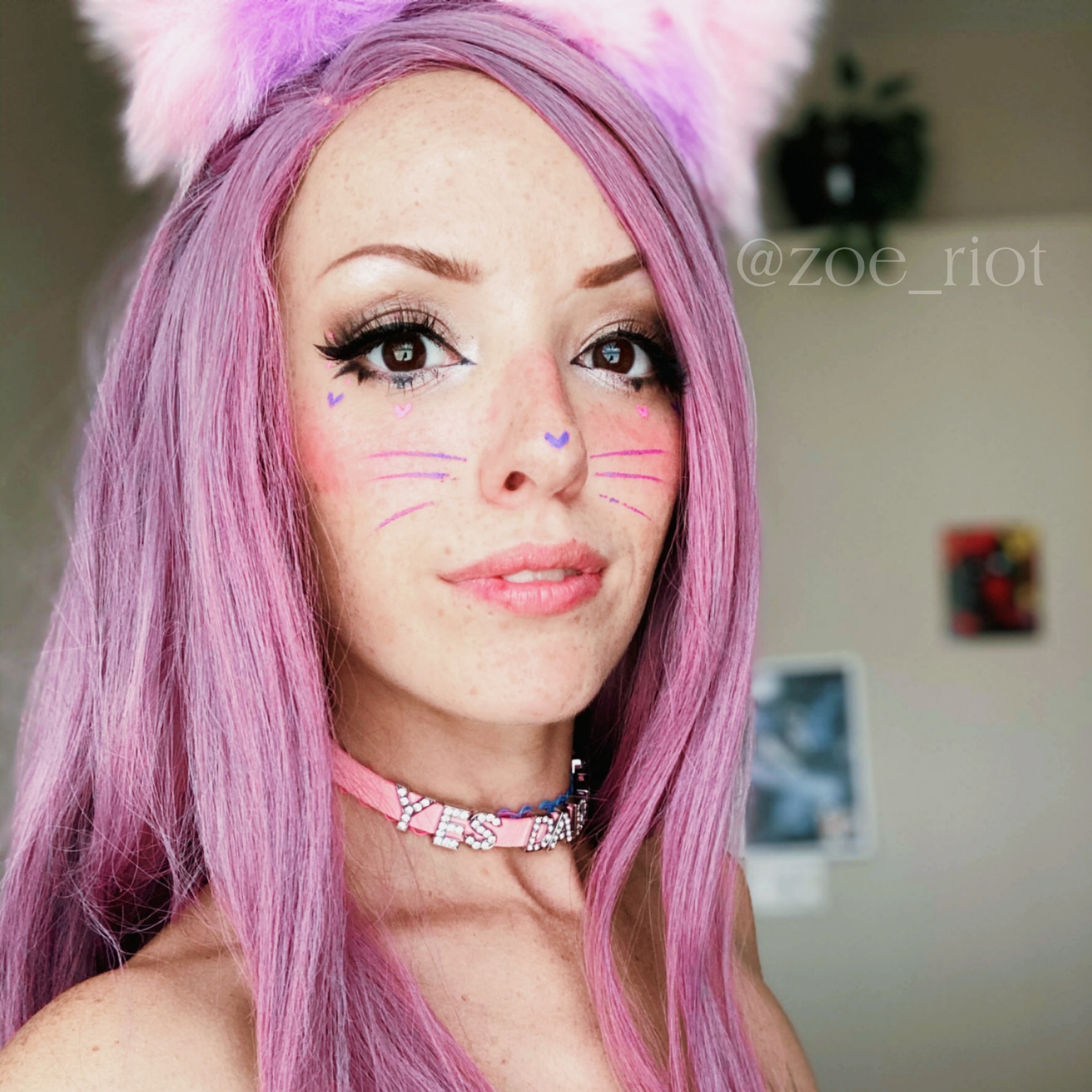 Perky Purple Kitten💜 | Scrolller