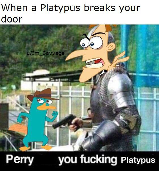 Where's Perry | Scrolller