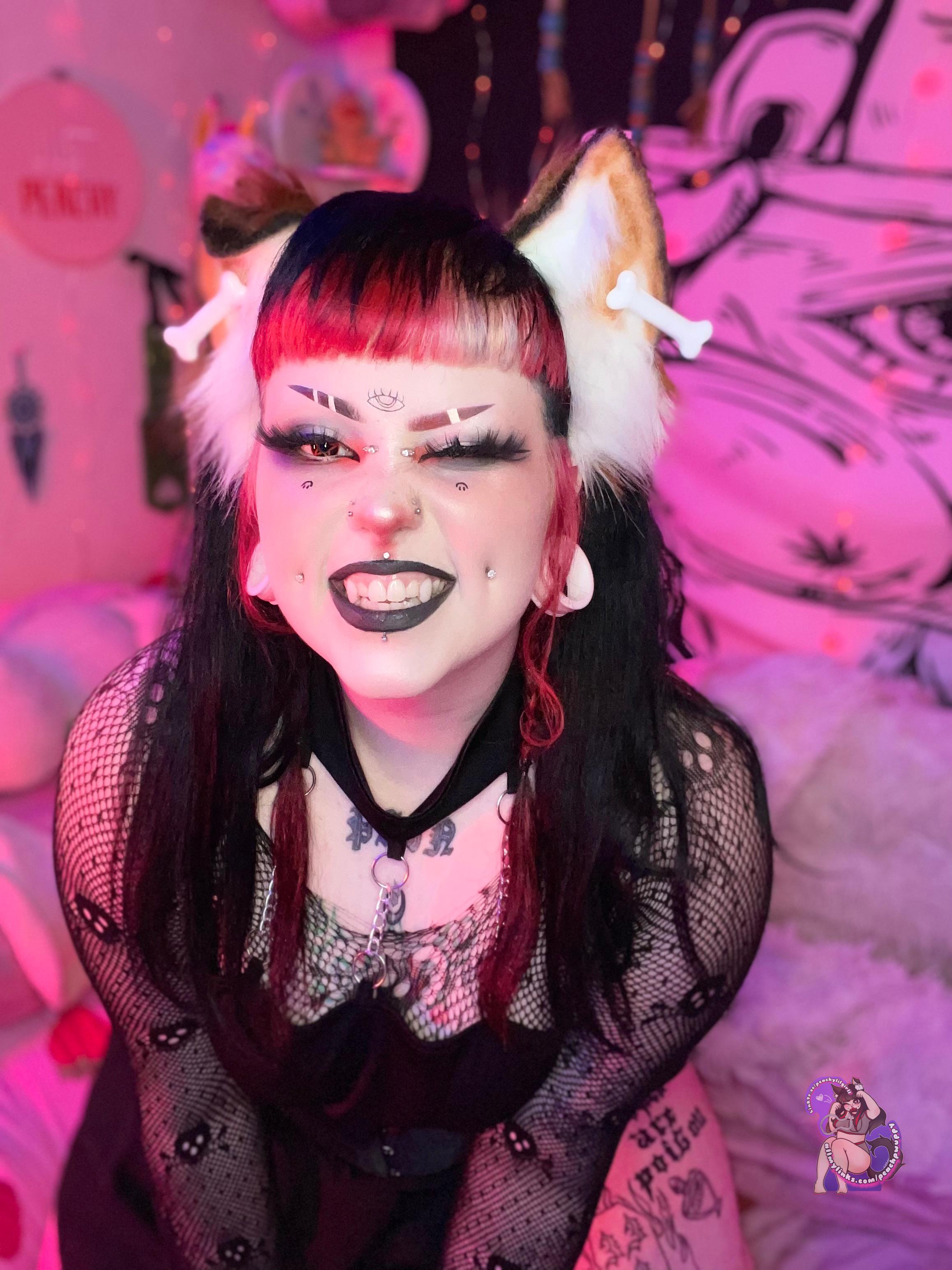 Pet me 😻🖤🐶 | Scrolller