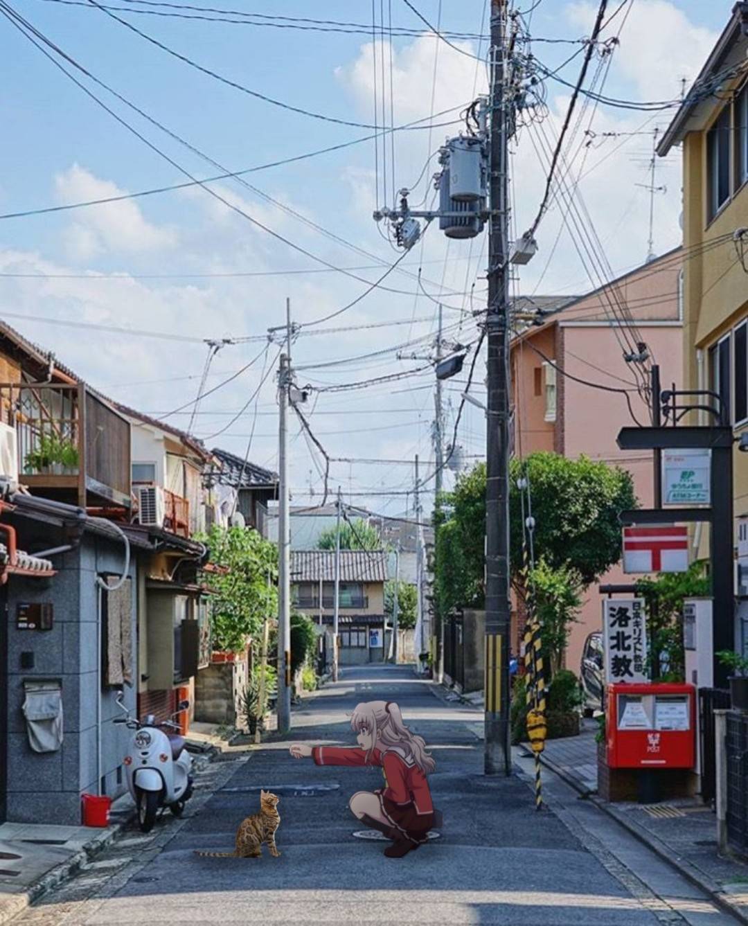 Pet the cat (My first try) | Scrolller