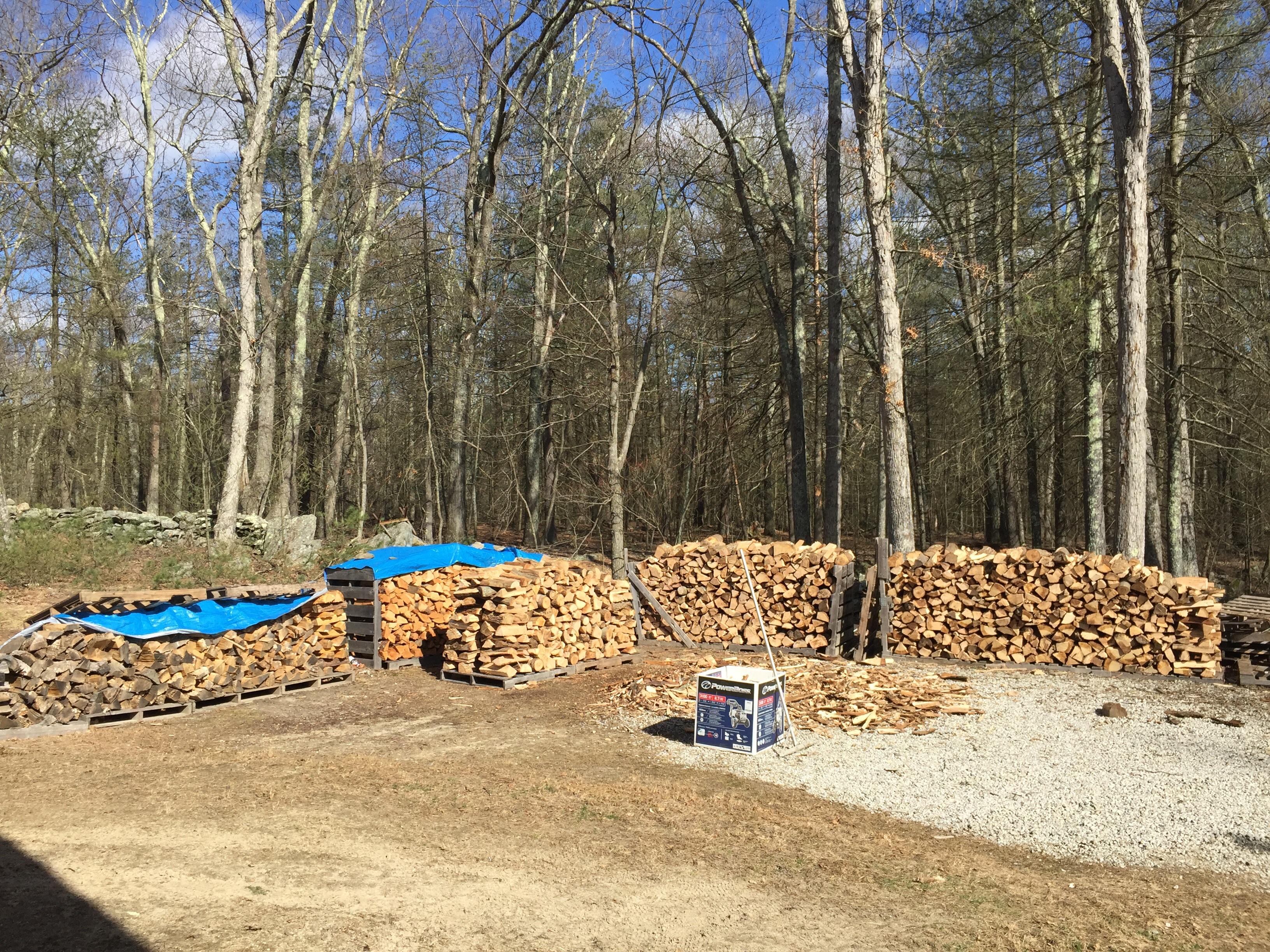 Phase 2 complete. | Scrolller