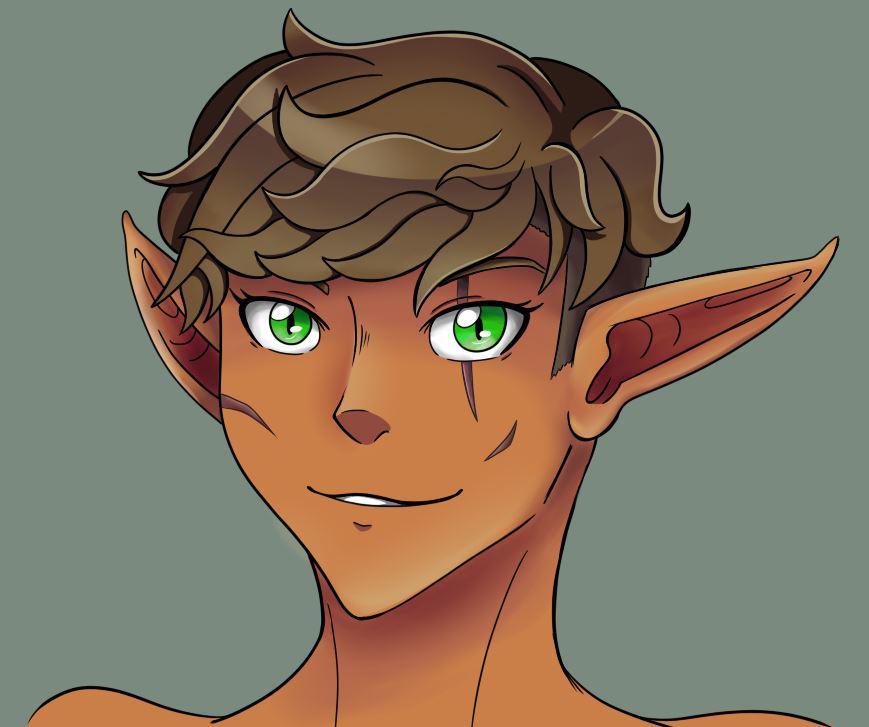 Pic of my DnD parties Wood Elf Ranger Shanaiarra | Scrolller