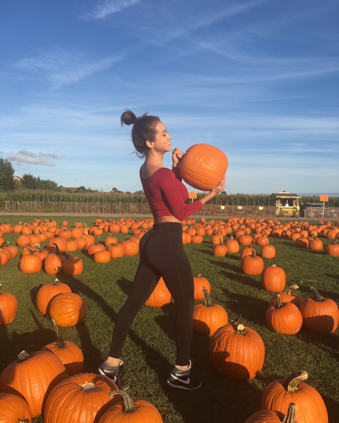 Picking pumpkins | Scrolller