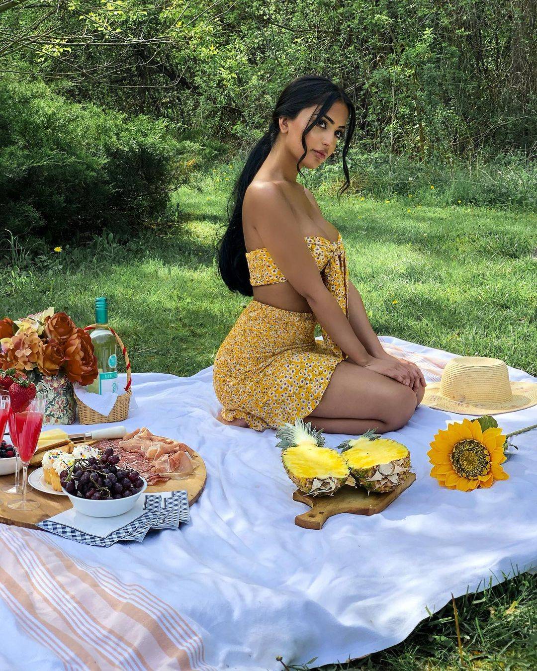 Picnic Time | Scrolller