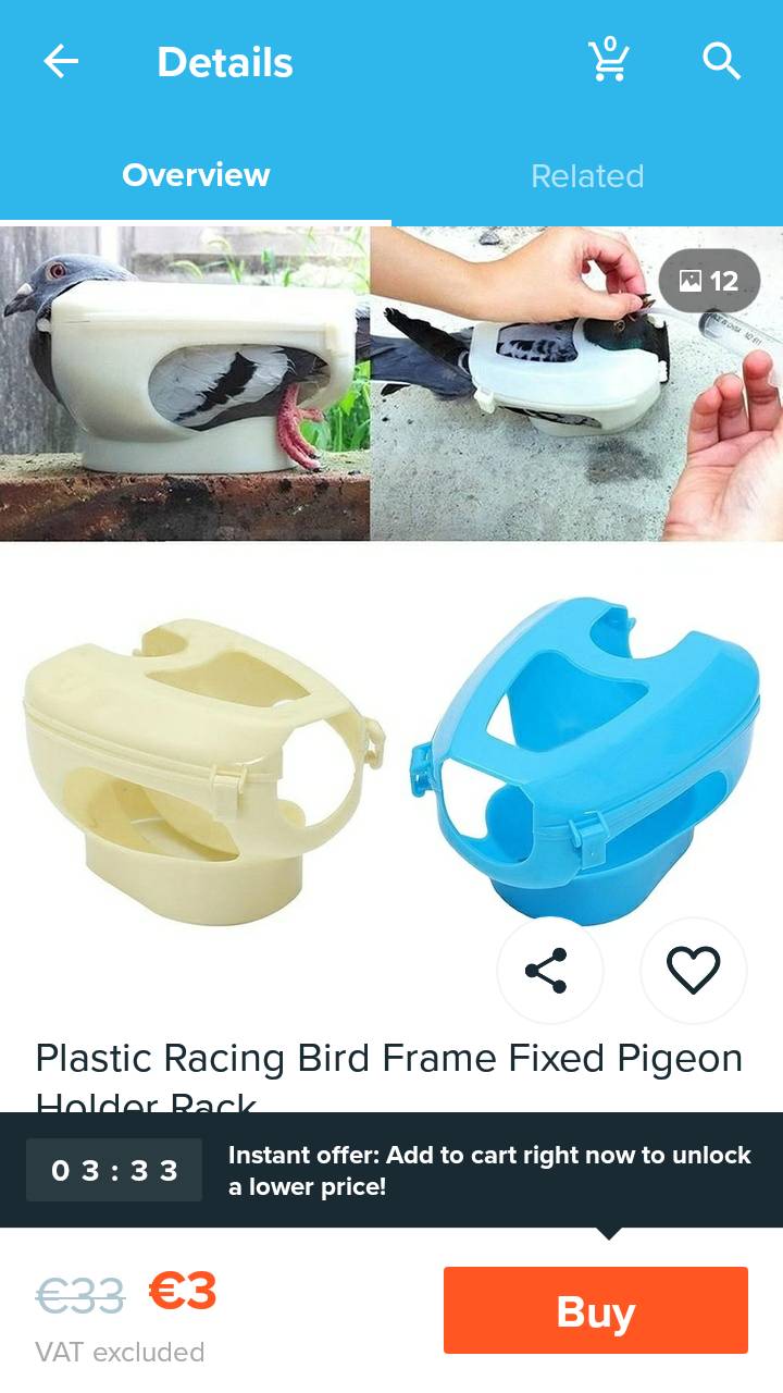 Pigeon holder | Scrolller