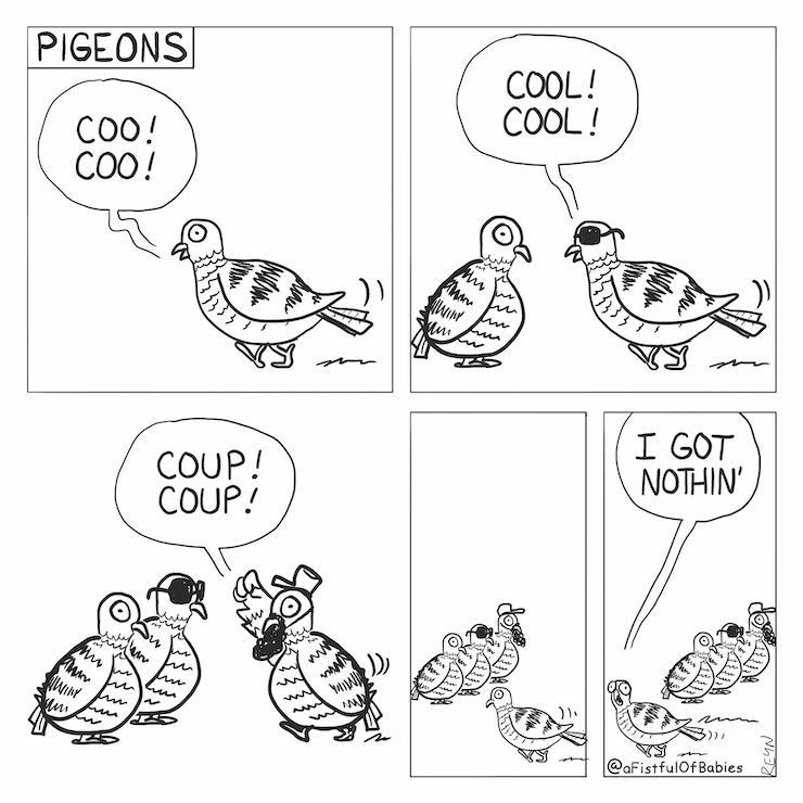 Pigeons [OC] | Scrolller