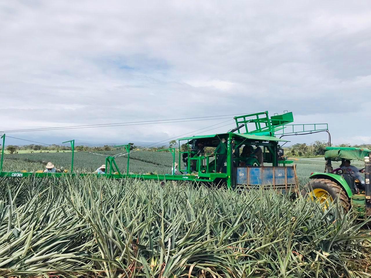 Pineapple Harvester Scrolller