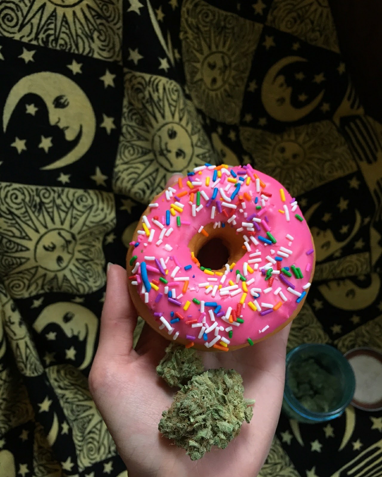 Pink doughnut. | Scrolller