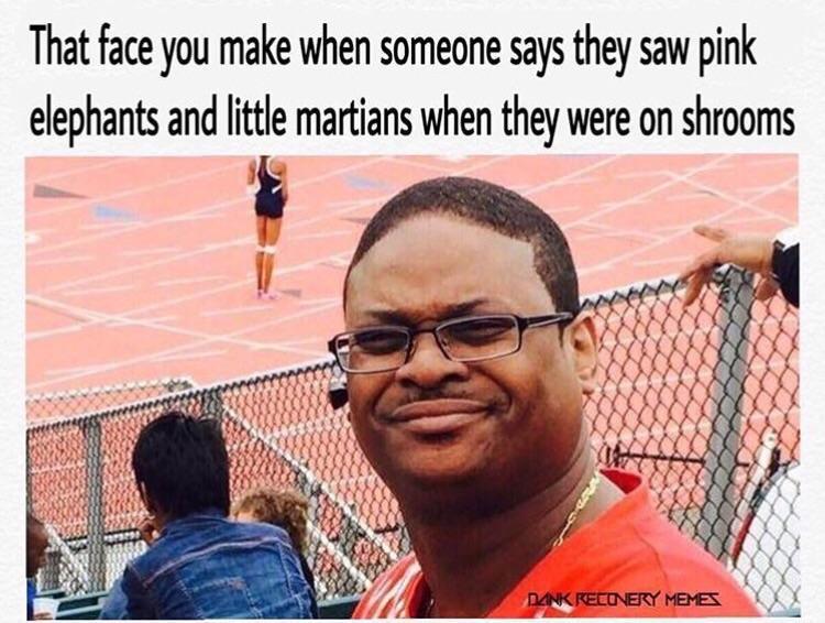 Pink elephants | Scrolller