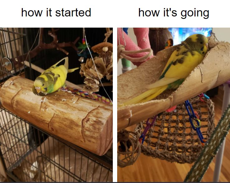 Pippa believes in hard work and dedication | Scrolller