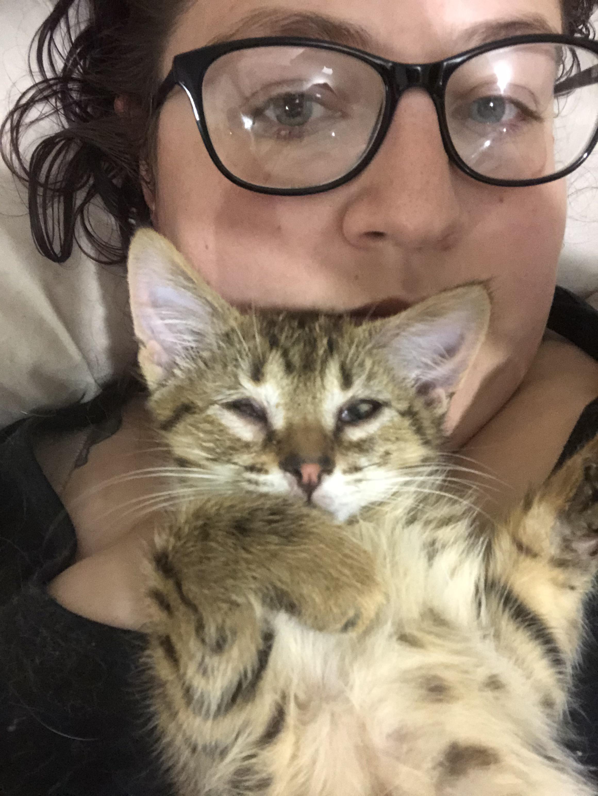 Pirate Walnut is back again for more cuddles | Scrolller