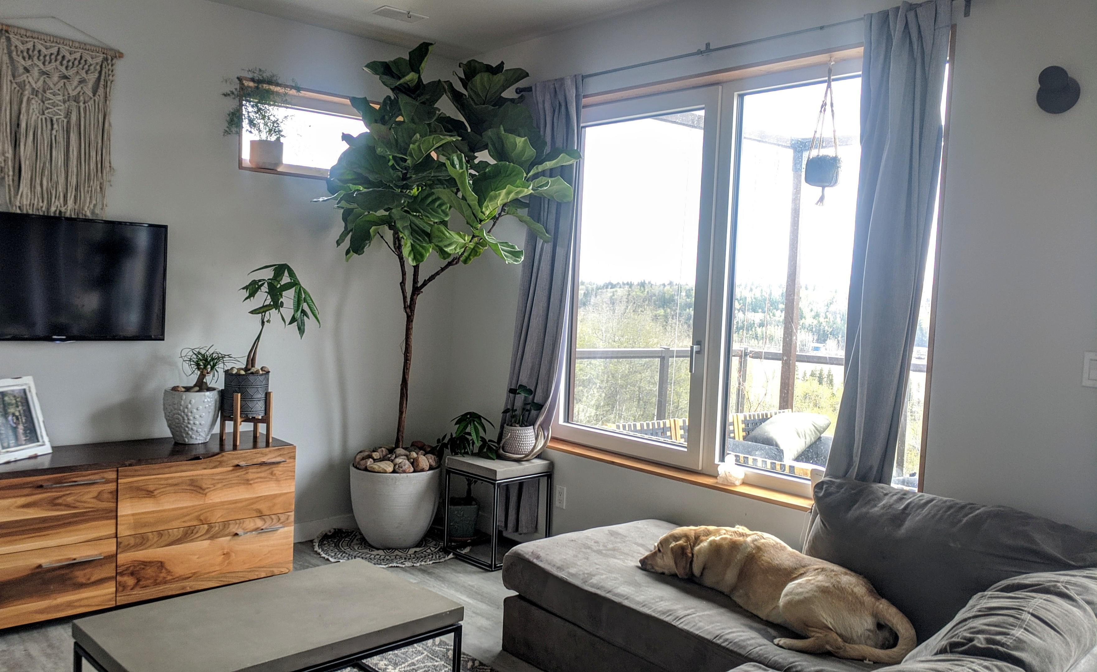 Plant-based design scheme | Scrolller